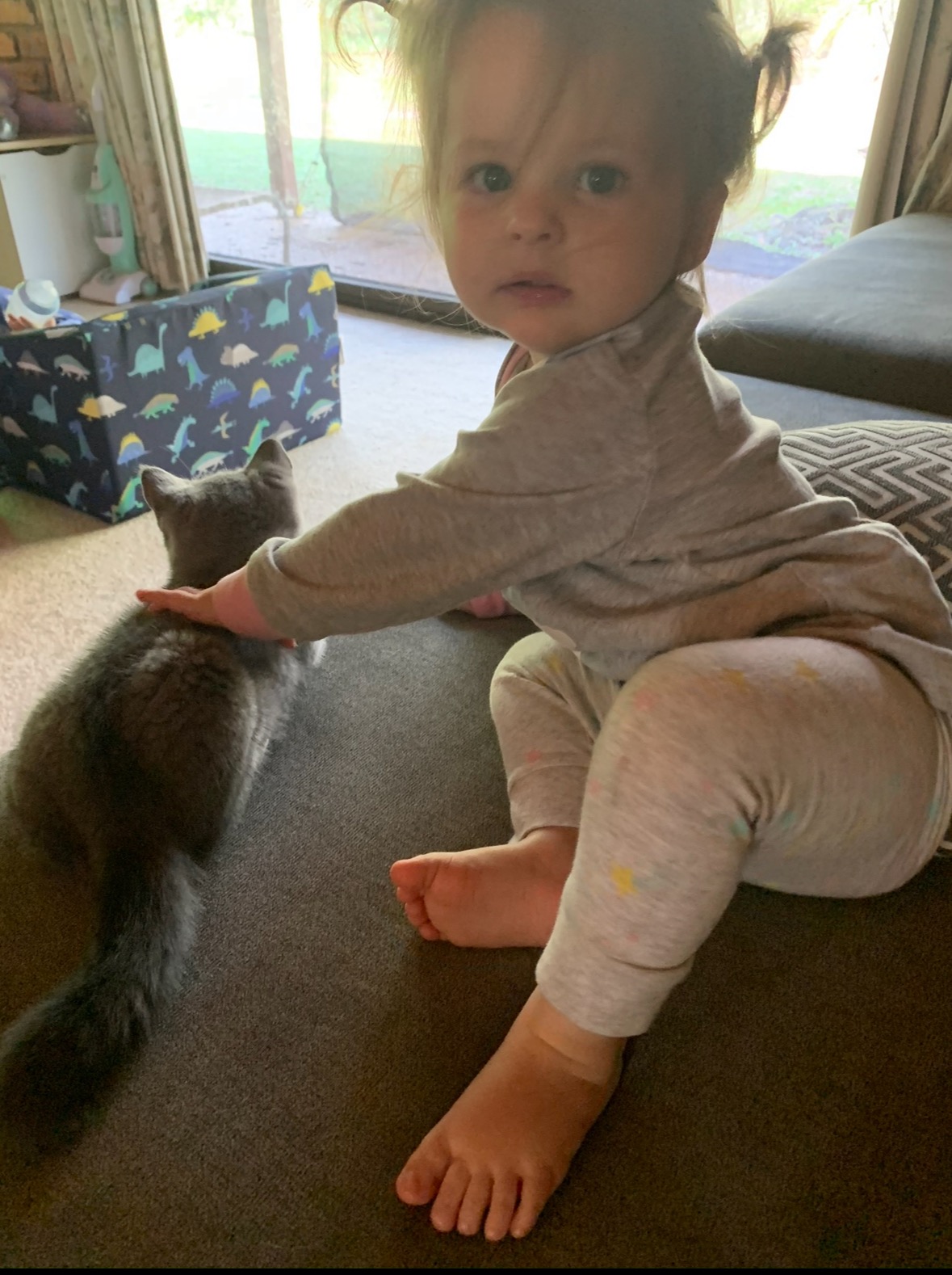 Fundraiser by Hayley Prentice : Please help me save my daughter’s best ...