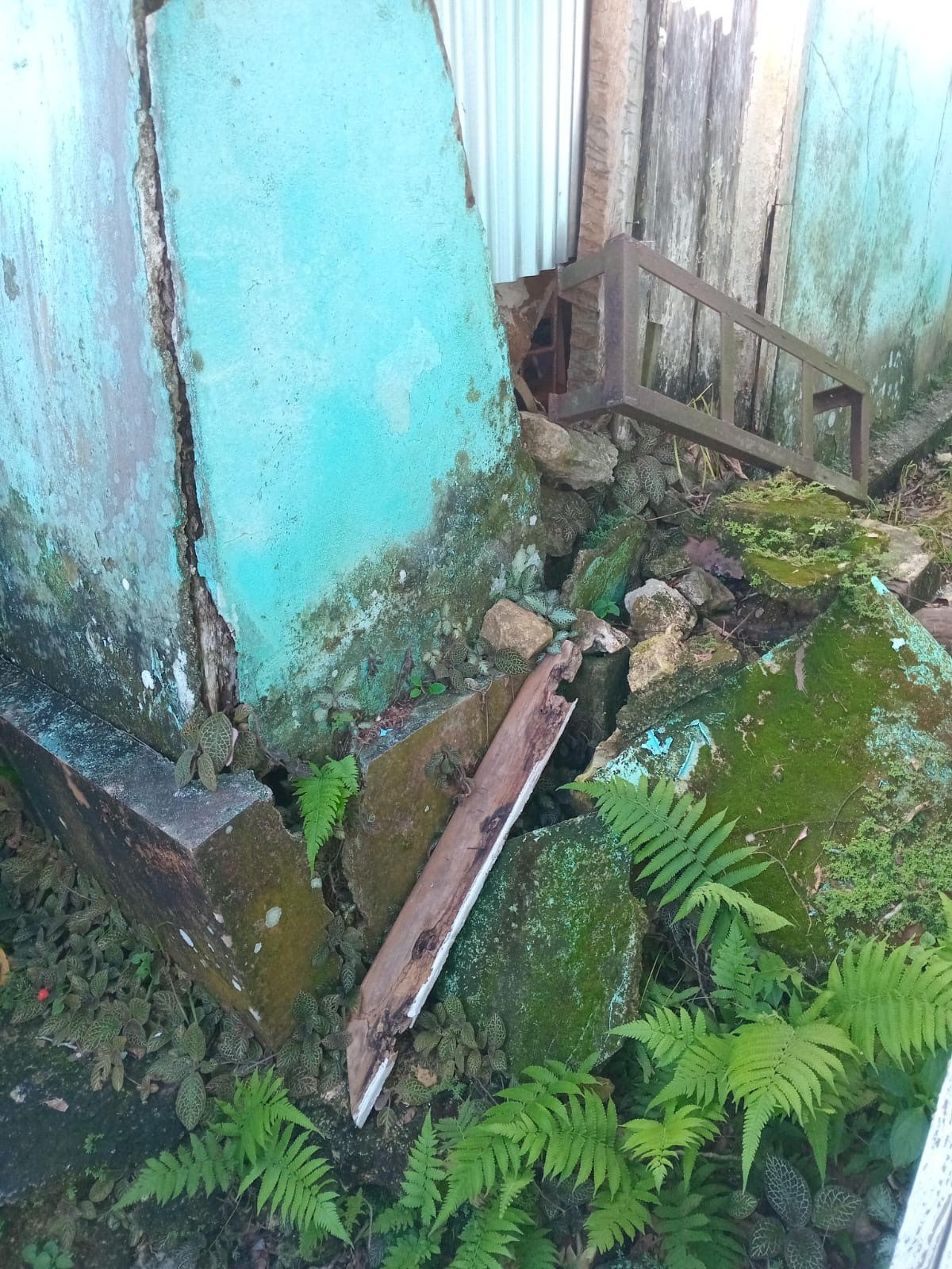 Fundraiser by sophia williams : Help Grandma Birdie Rebuild Her Home