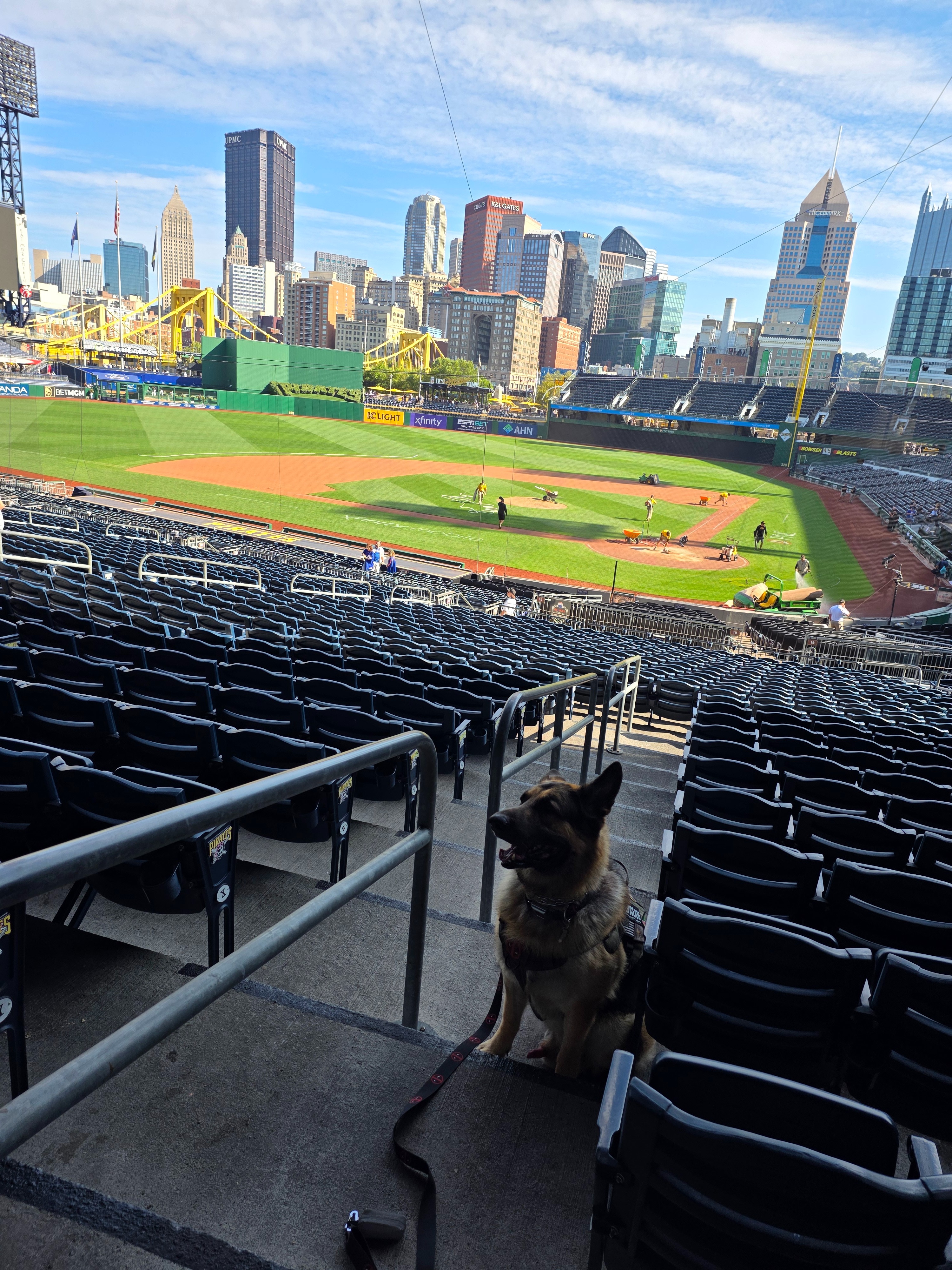 Fundraiser by James Kushon : Emergency Care for Ahijah, CTE Service Dog