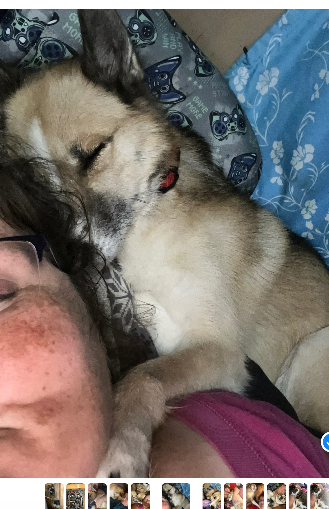 Fundraiser by Kimberly Rowley : My Family and pets need a home due to ...