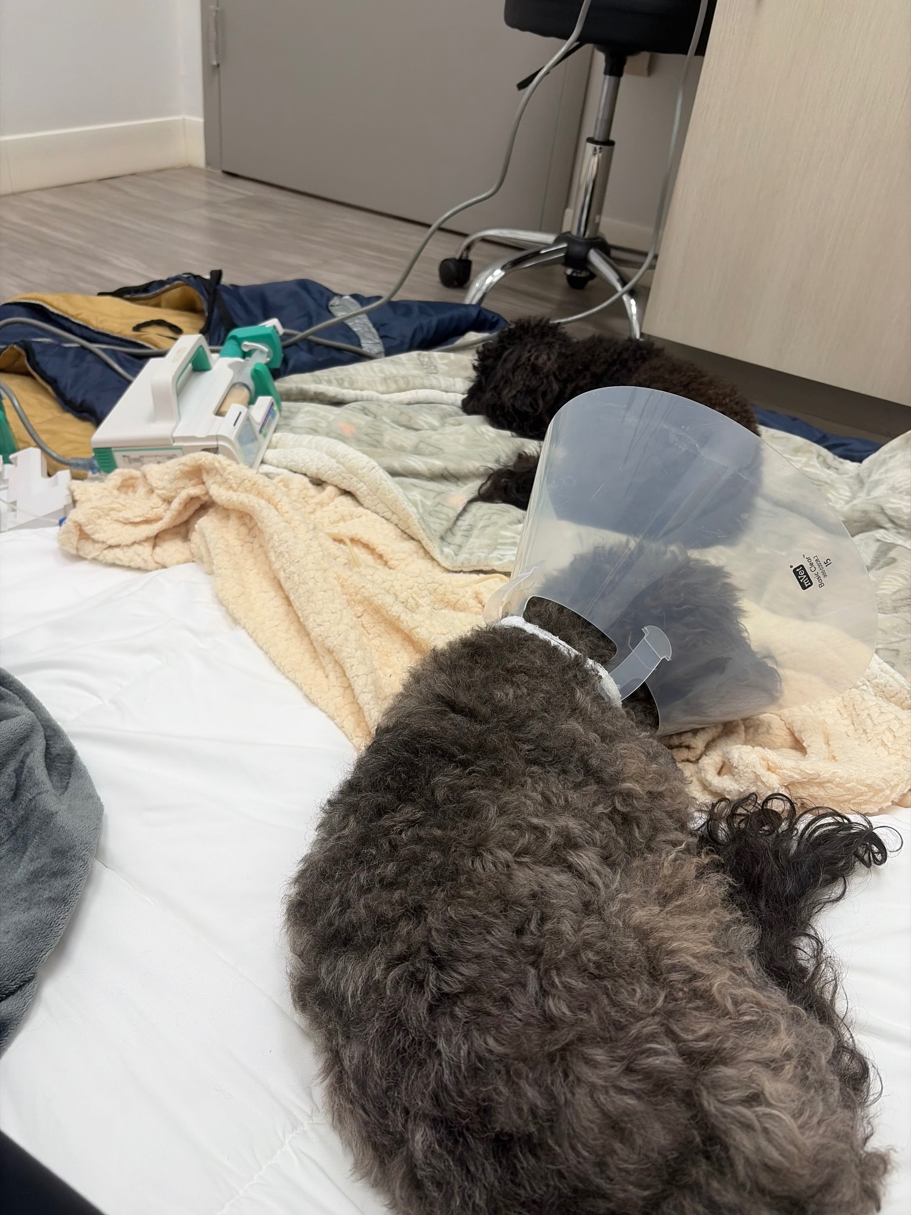 Fundraiser by Regina Kopit : Hope and Healing for Linda in the ICU