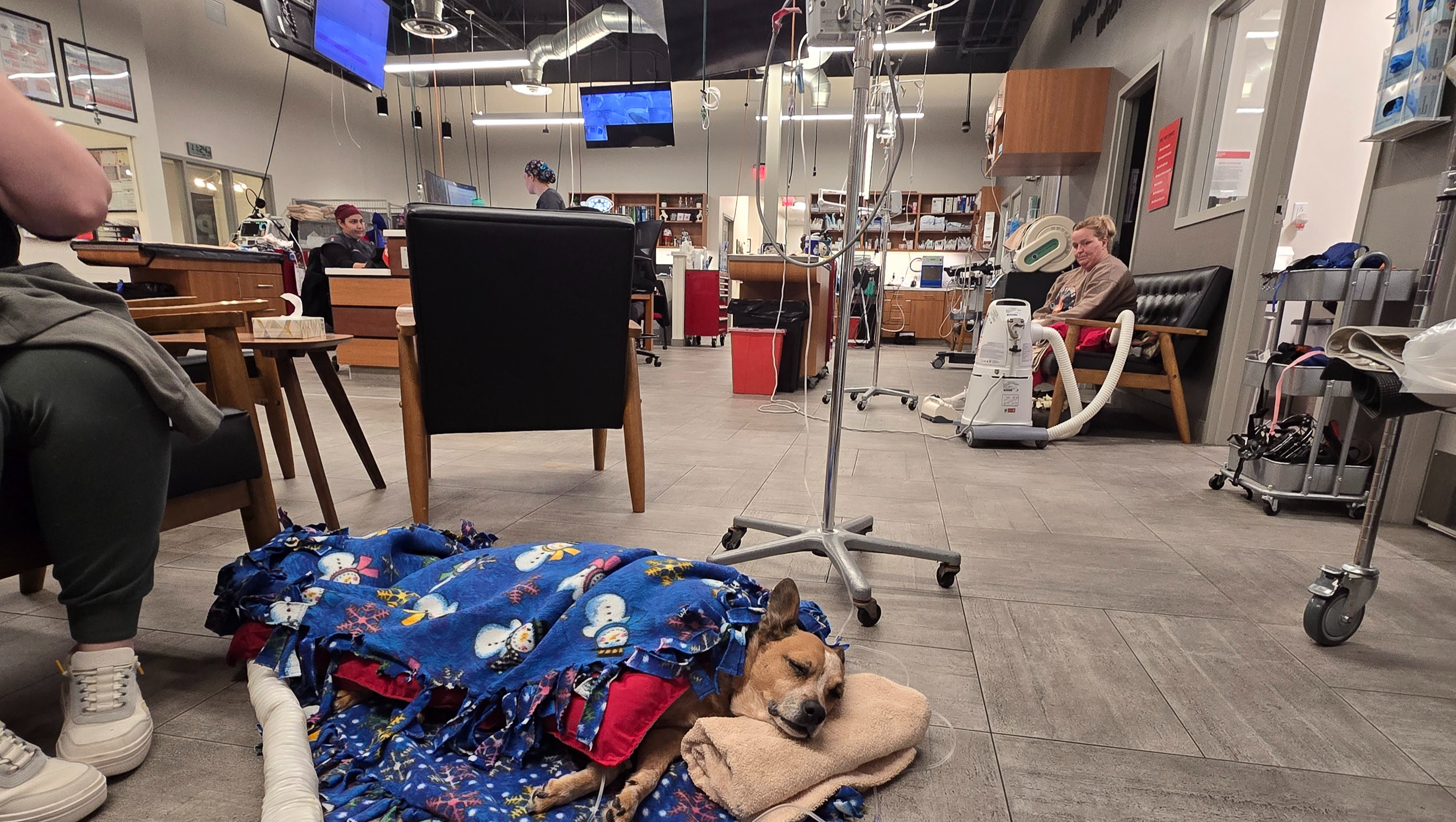 Fundraiser by Nathan Munson : Help Benji Get Emergency Medical Care