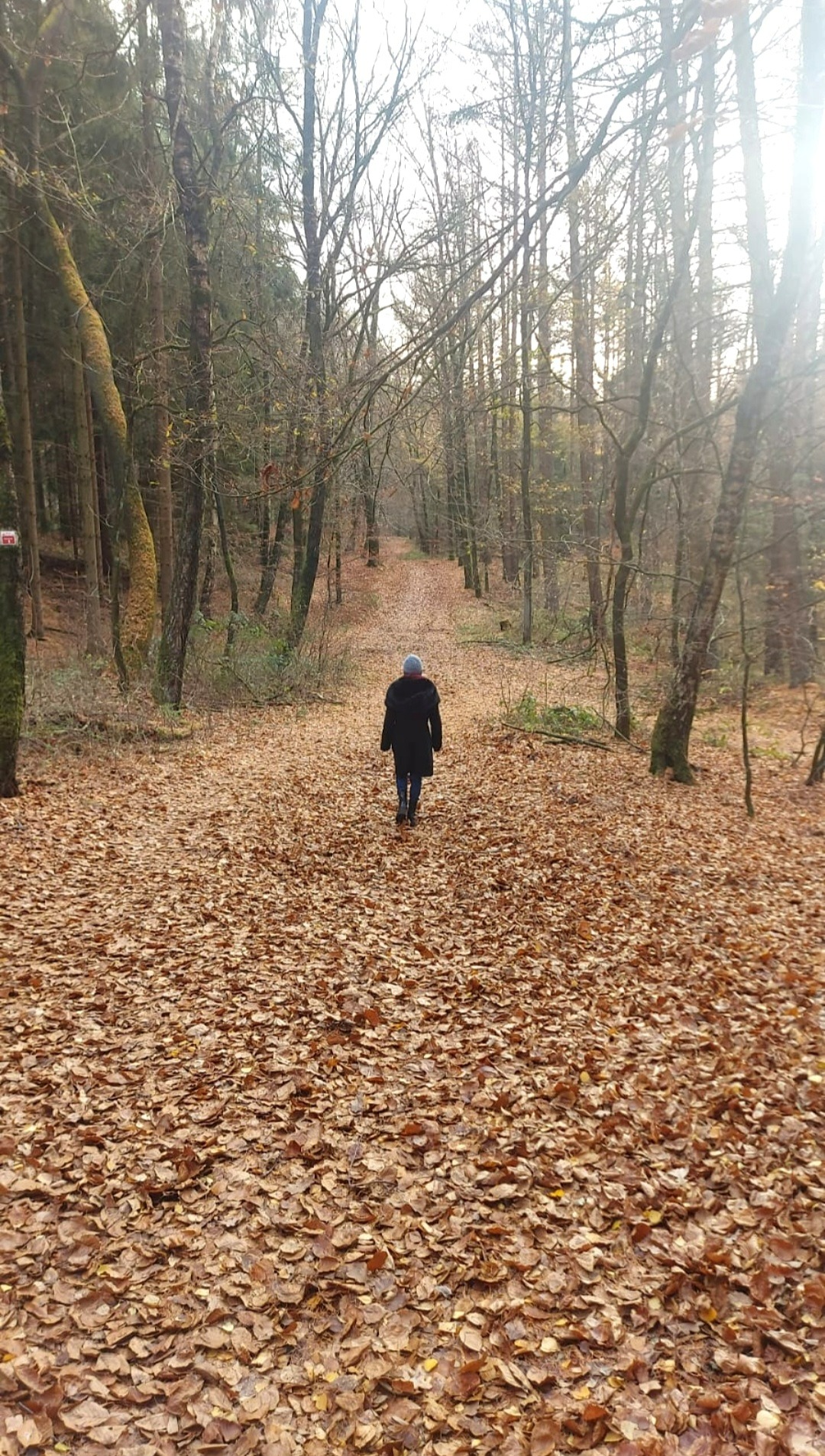 Fundraiser by Kari Melcher : Wunsch für meine krebskranke Mama erfüllen