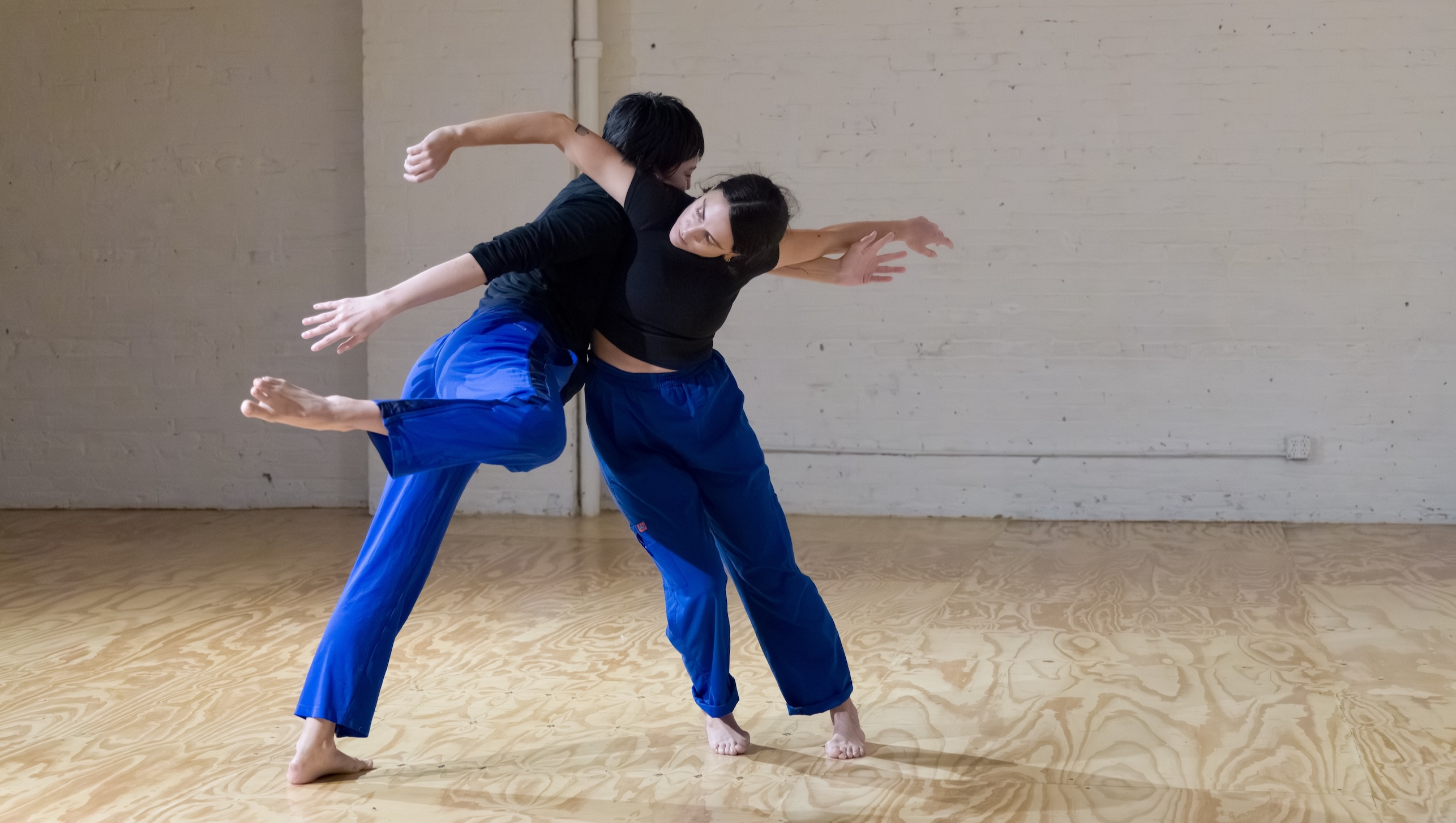 Fundraiser by Falcon Dance : Support Falcon Dance's new 2026 project!