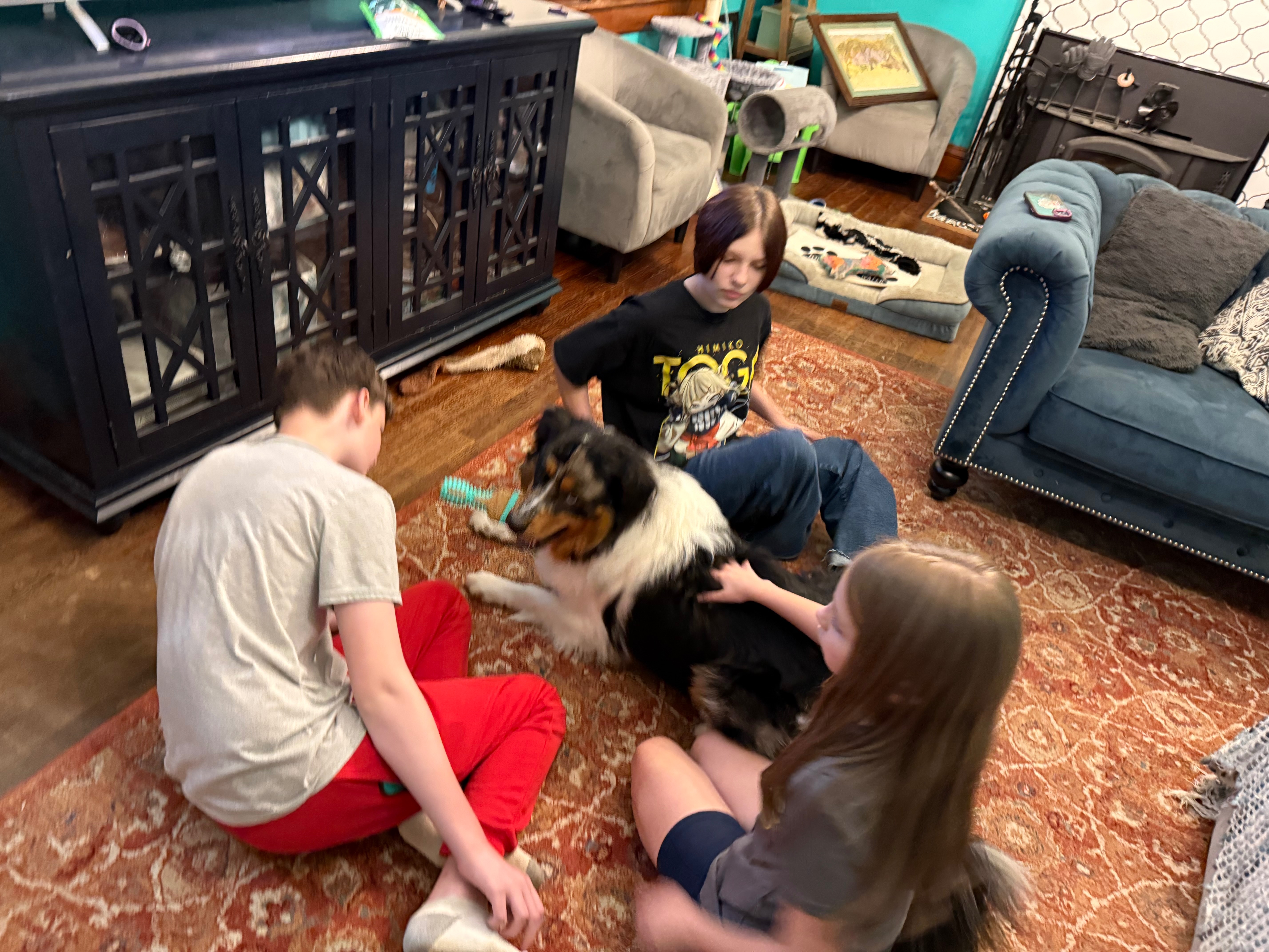 Fundraiser for Jon Lester by Amanda Thompson : Help save Zeus