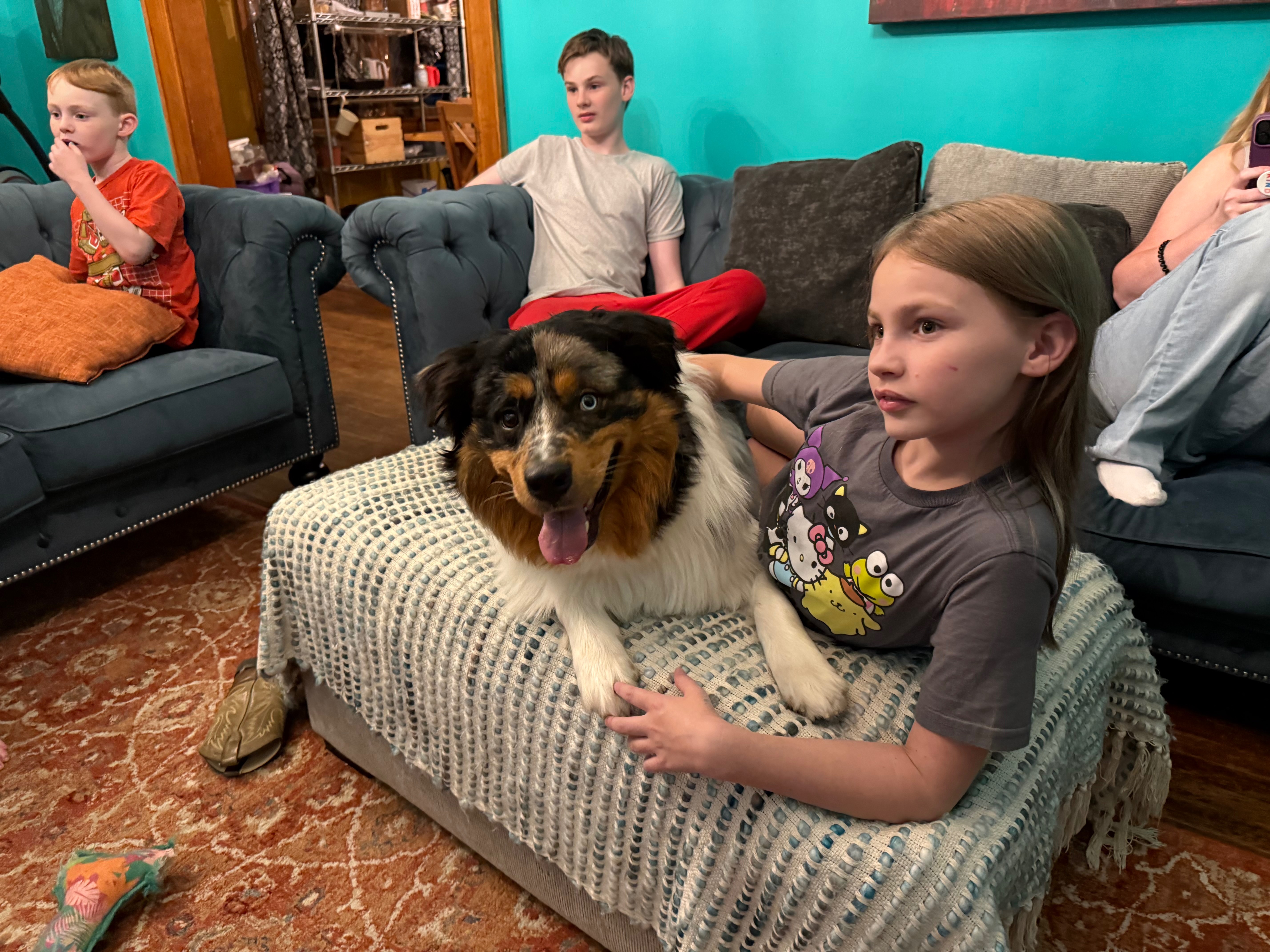 Fundraiser for Jon Lester by Amanda Thompson : Help save Zeus