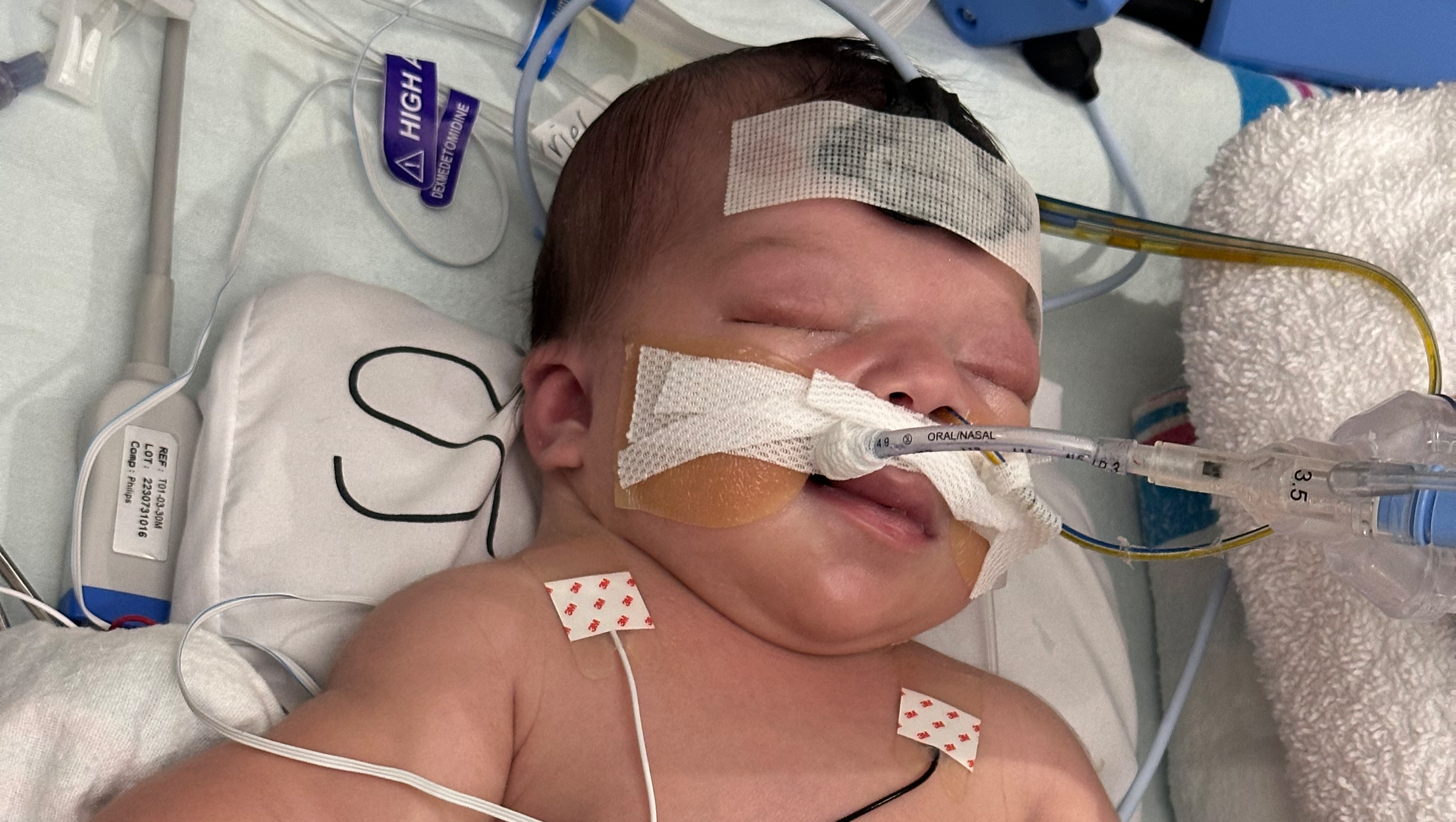 Fundraiser by Hanna Correal : Support Mabel Rose’s Fight for Life