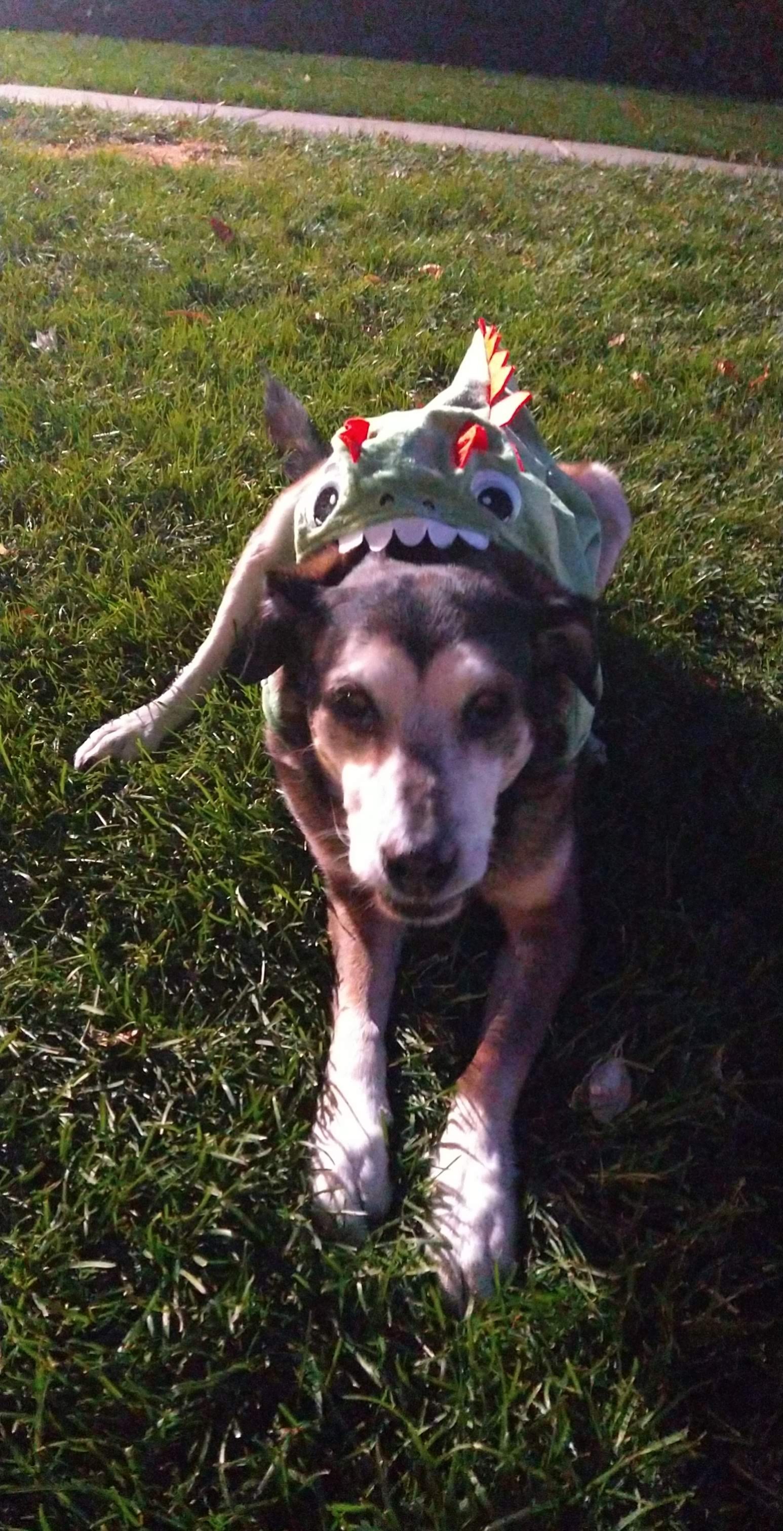 Fundraiser by Emma Huntington : Help Sandi Rest with Dignity and Peace