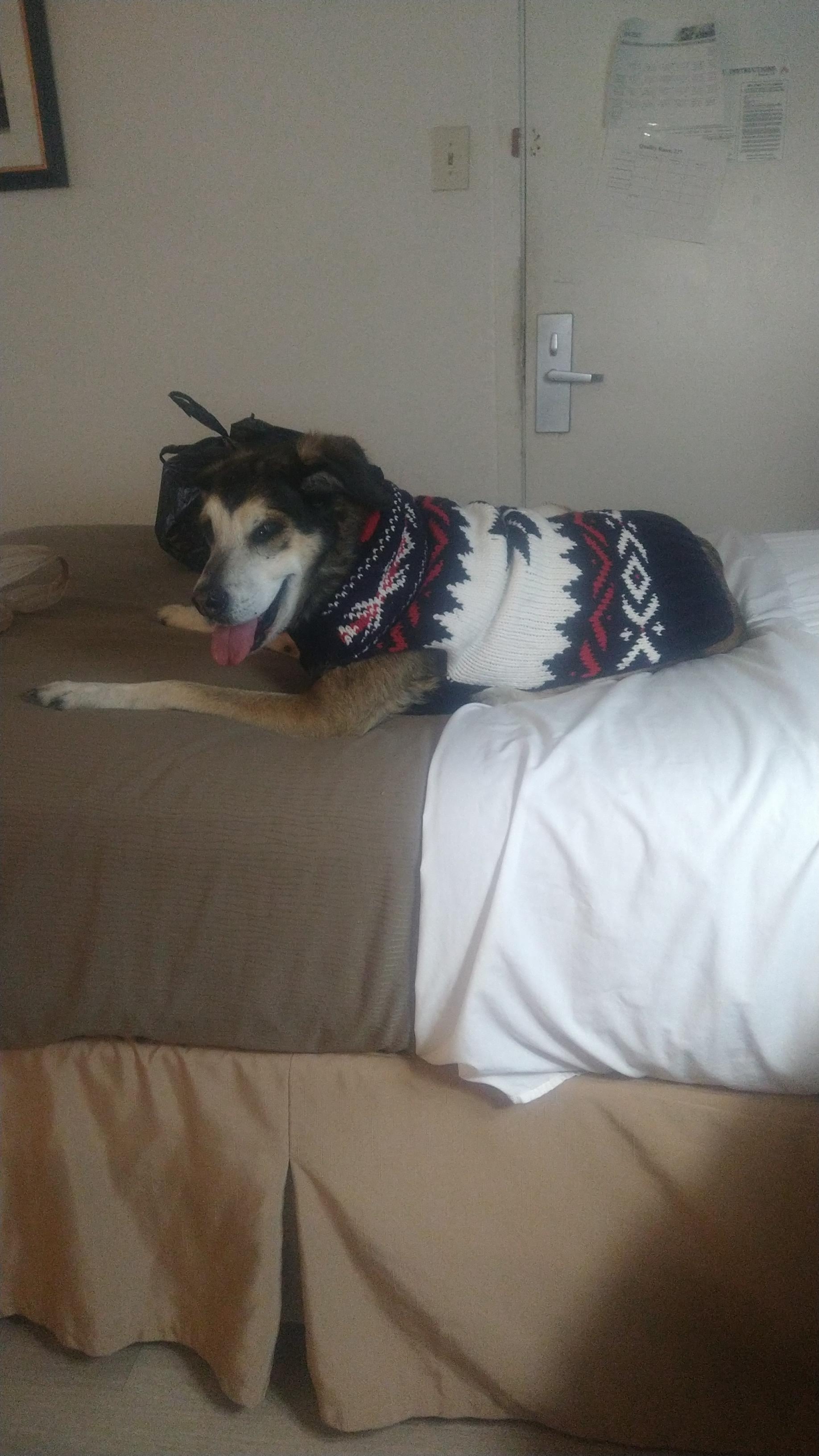 Fundraiser by Emma Huntington : Help Sandi Rest with Dignity and Peace