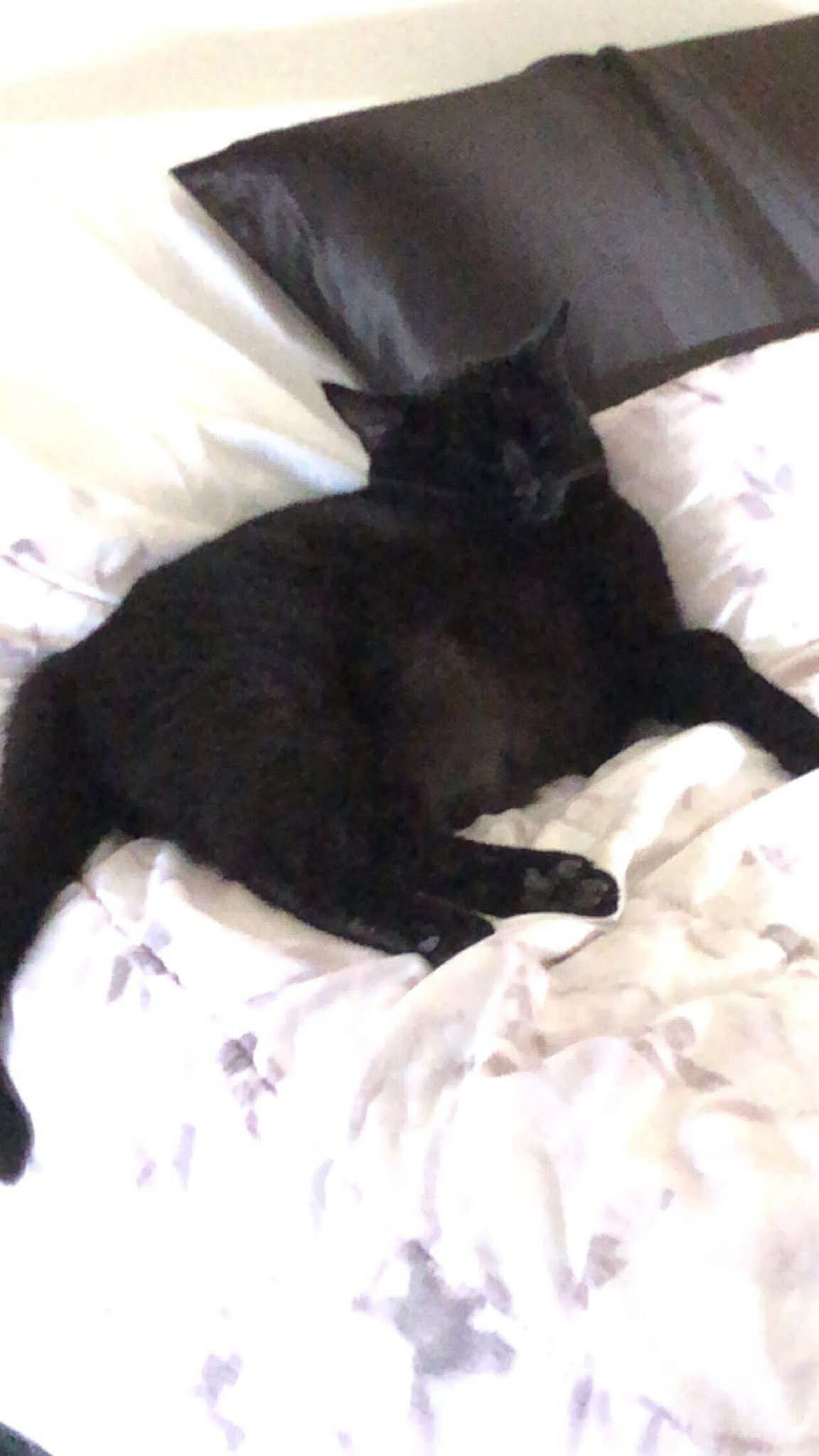 Fundraiser by Marissa Keefe : Expenses for the sudden passing of our ...