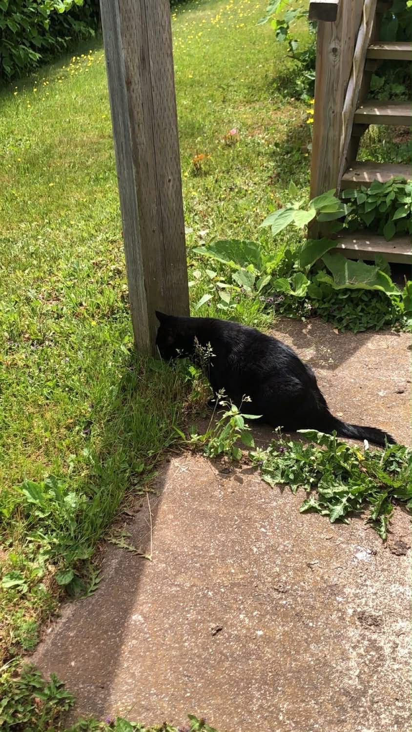 Fundraiser by Marissa Keefe : Expenses for the sudden passing of our ...