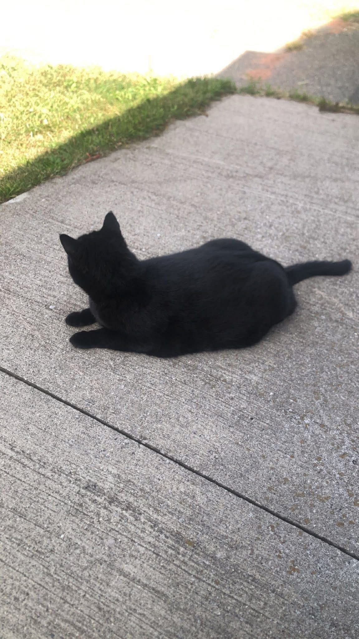 Fundraiser by Marissa Keefe : Expenses for the sudden passing of our ...