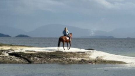 Fundraiser for Elizabeth Waller by Simone Thompson : Heal a horse ...