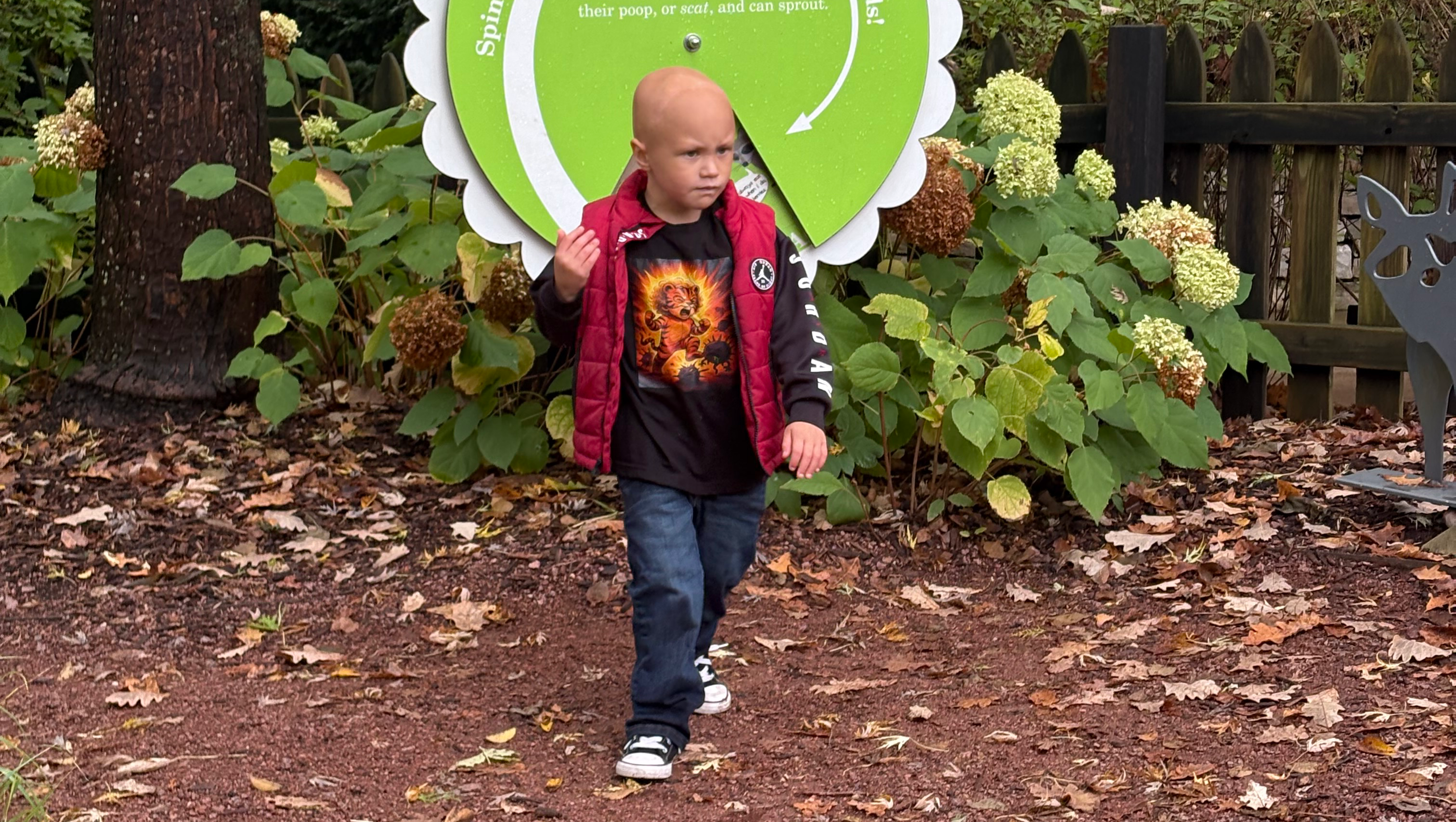 Fundraiser for Zack Rowden by Shannon Hughes : Please Help Elijah ...