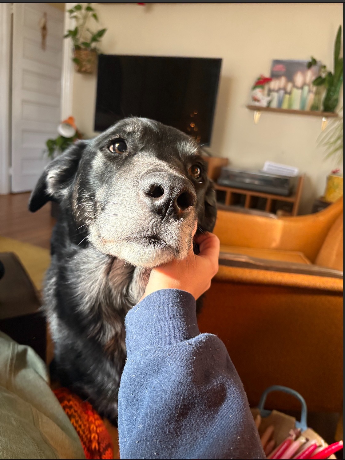 Fundraiser for Kitty Belyea by Emma Griffin : Loving Jackson through ...