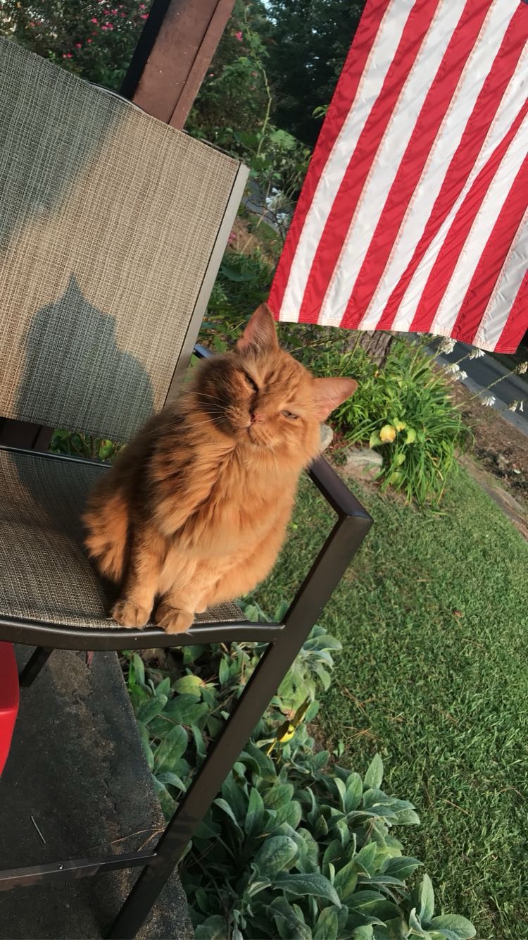 Fundraiser by lilly Ellis420 : Help Michael Get Femur Surgery and Heal