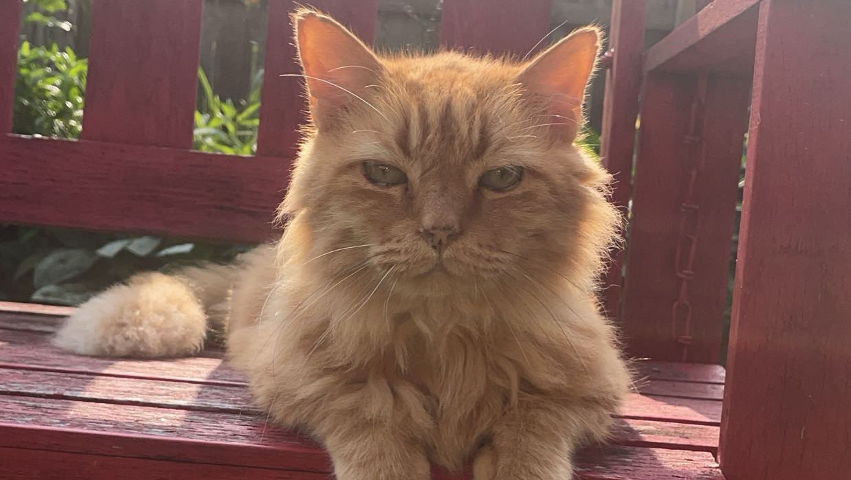 Fundraiser by lilly Ellis420 : Help Michael Get Femur Surgery and Heal