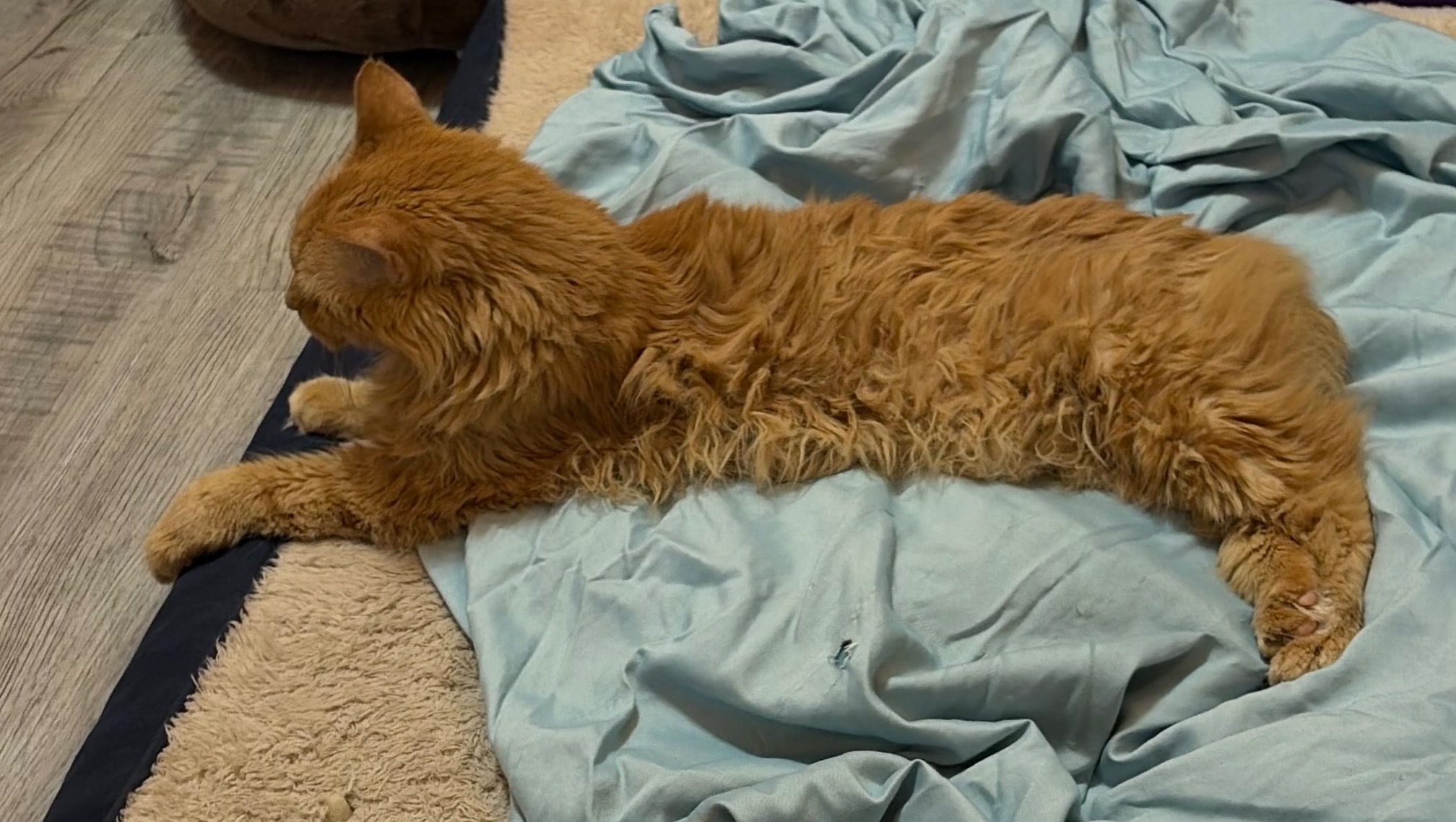 Fundraiser by lilly Ellis420 : Help Michael Get Femur Surgery and Heal