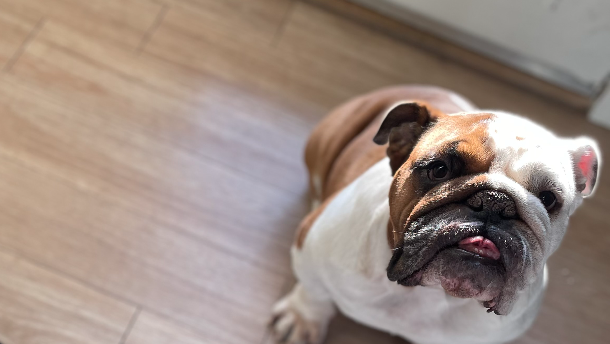 Fundraiser by Sam A : Help Billy Get Life-Saving Ear Surgery