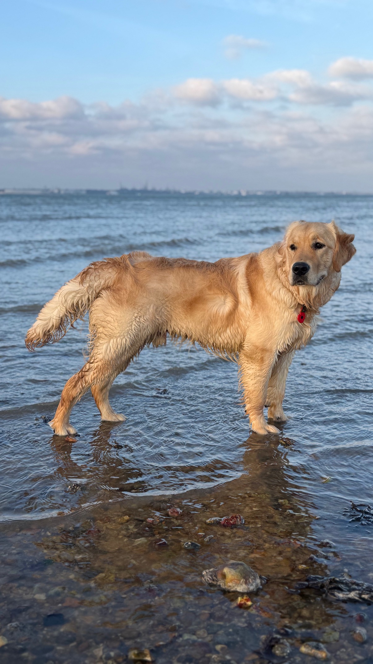 Fundraiser by Samantha Gray : “Every step counts! Walking 1,000 miles ...