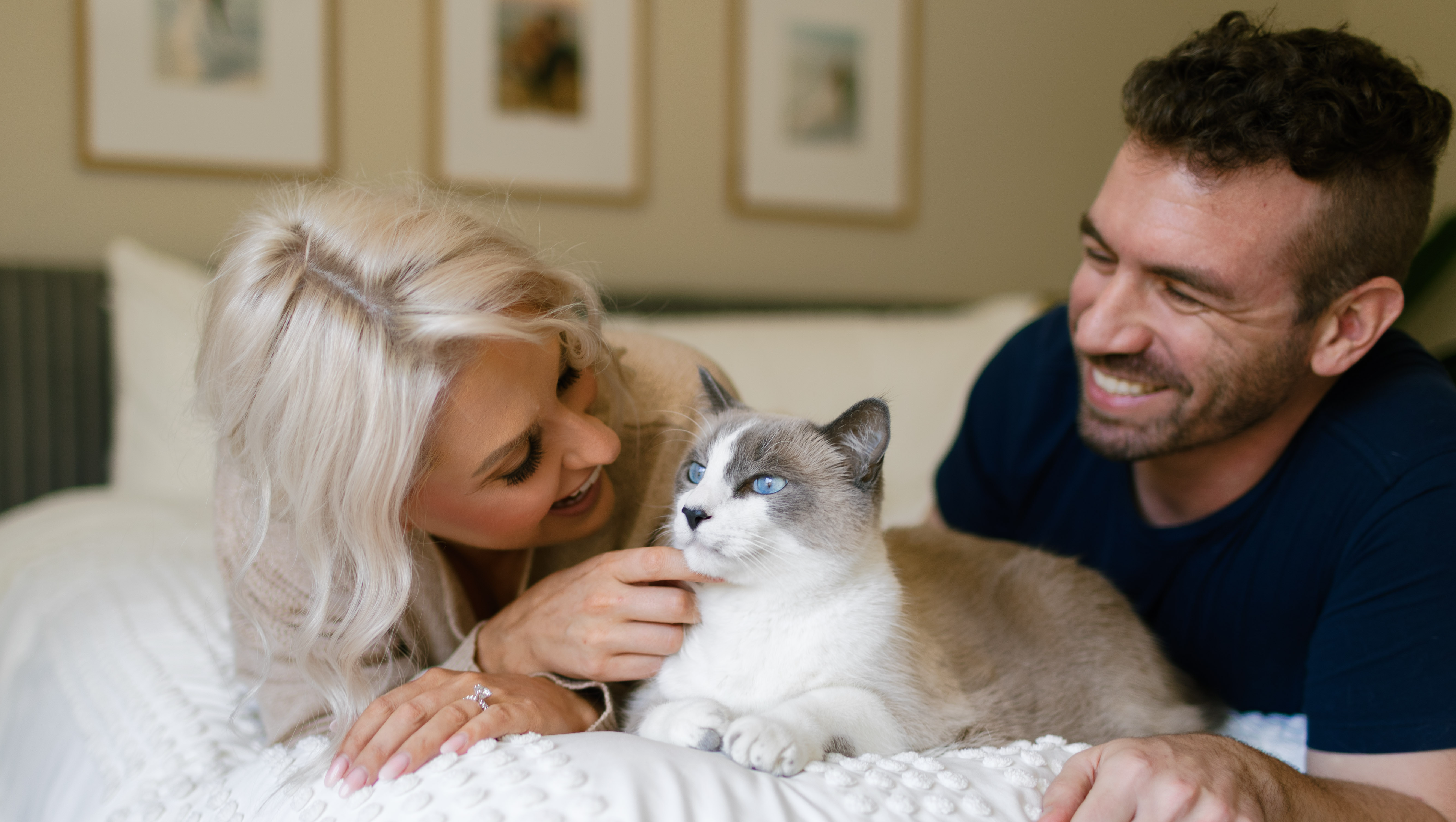 Fundraiser by Danielle Marston : Ollie’s Memorial Fund