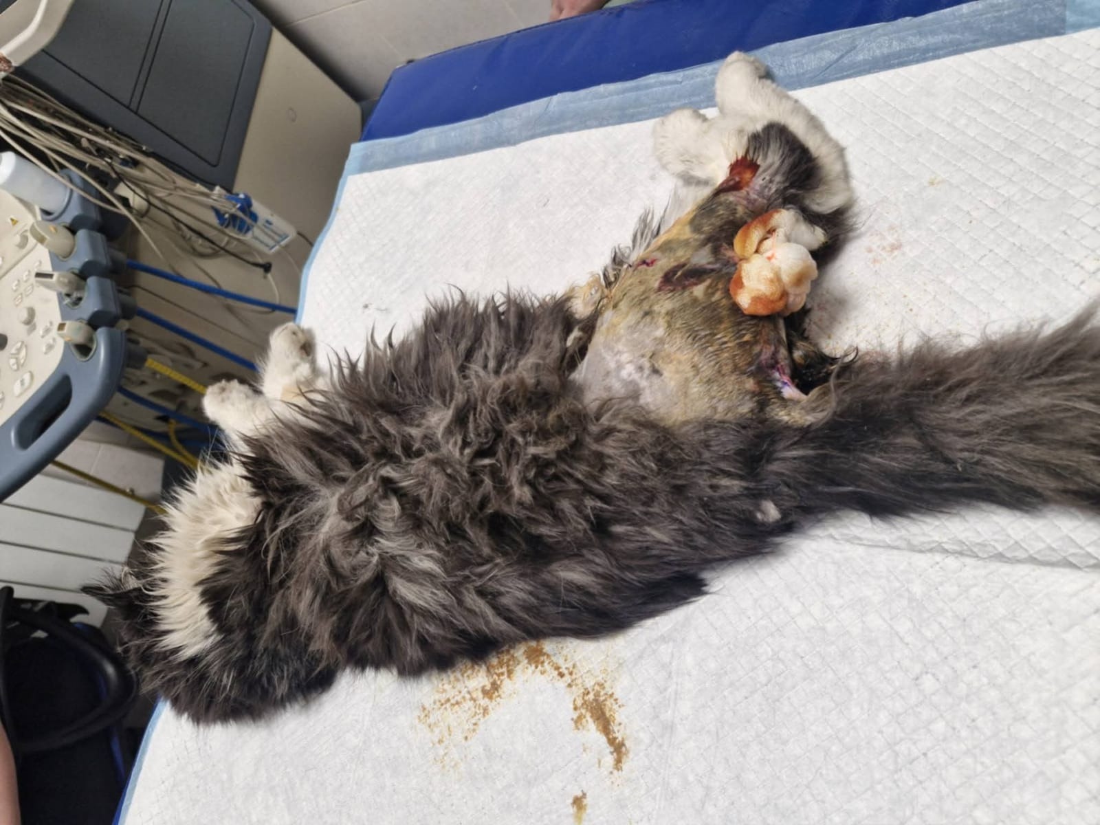 Fundraiser by Isabel Papenfuß : Schwer verletztes Kriegsopfer Sebastian