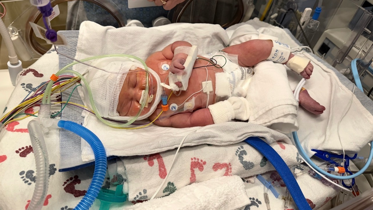 Fundraiser for Andrew Basler by Mackenzie Fisher : Support Baby Jovi's ...