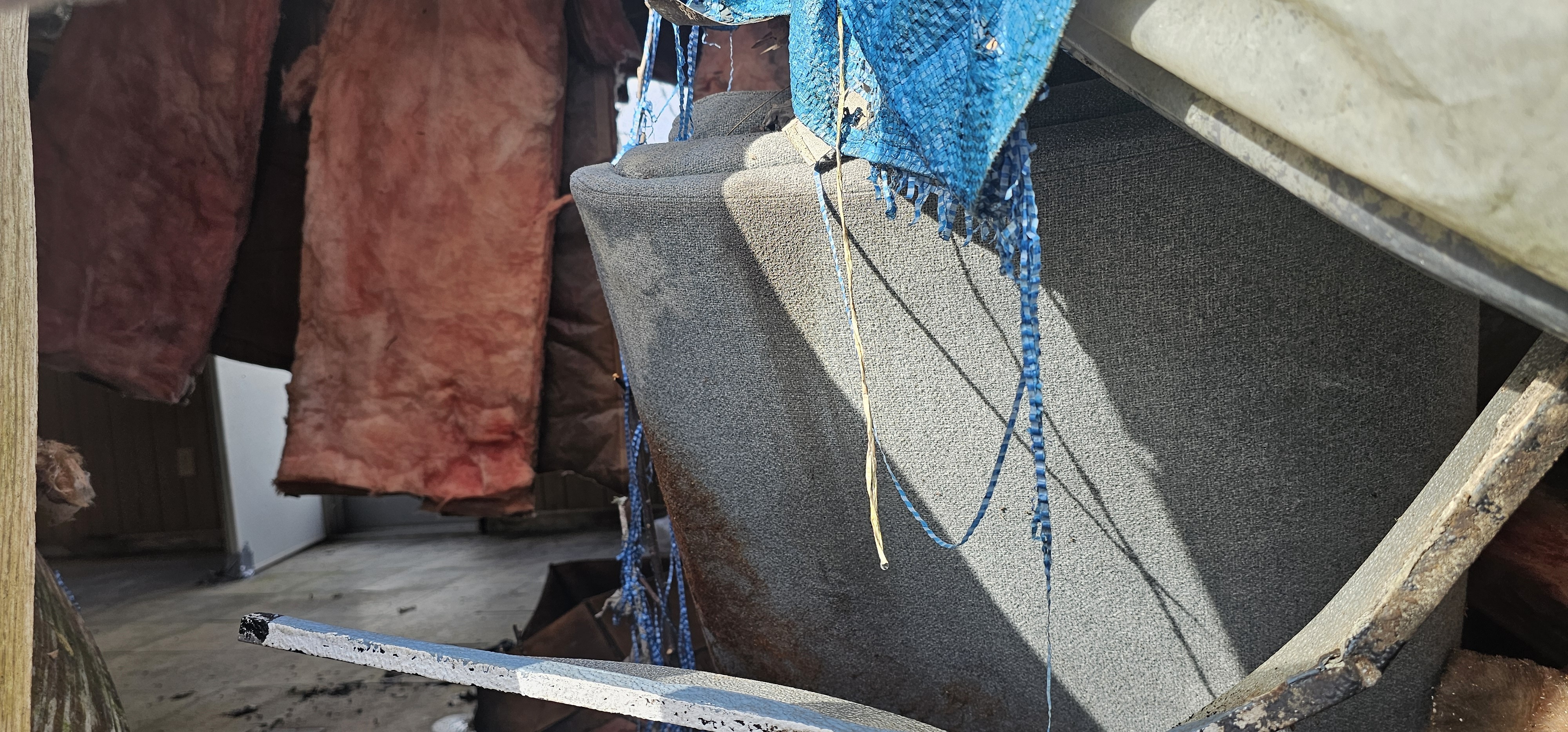 Fundraiser by Carrie Heath : Help Bonnie Find a Warm, Safe Home