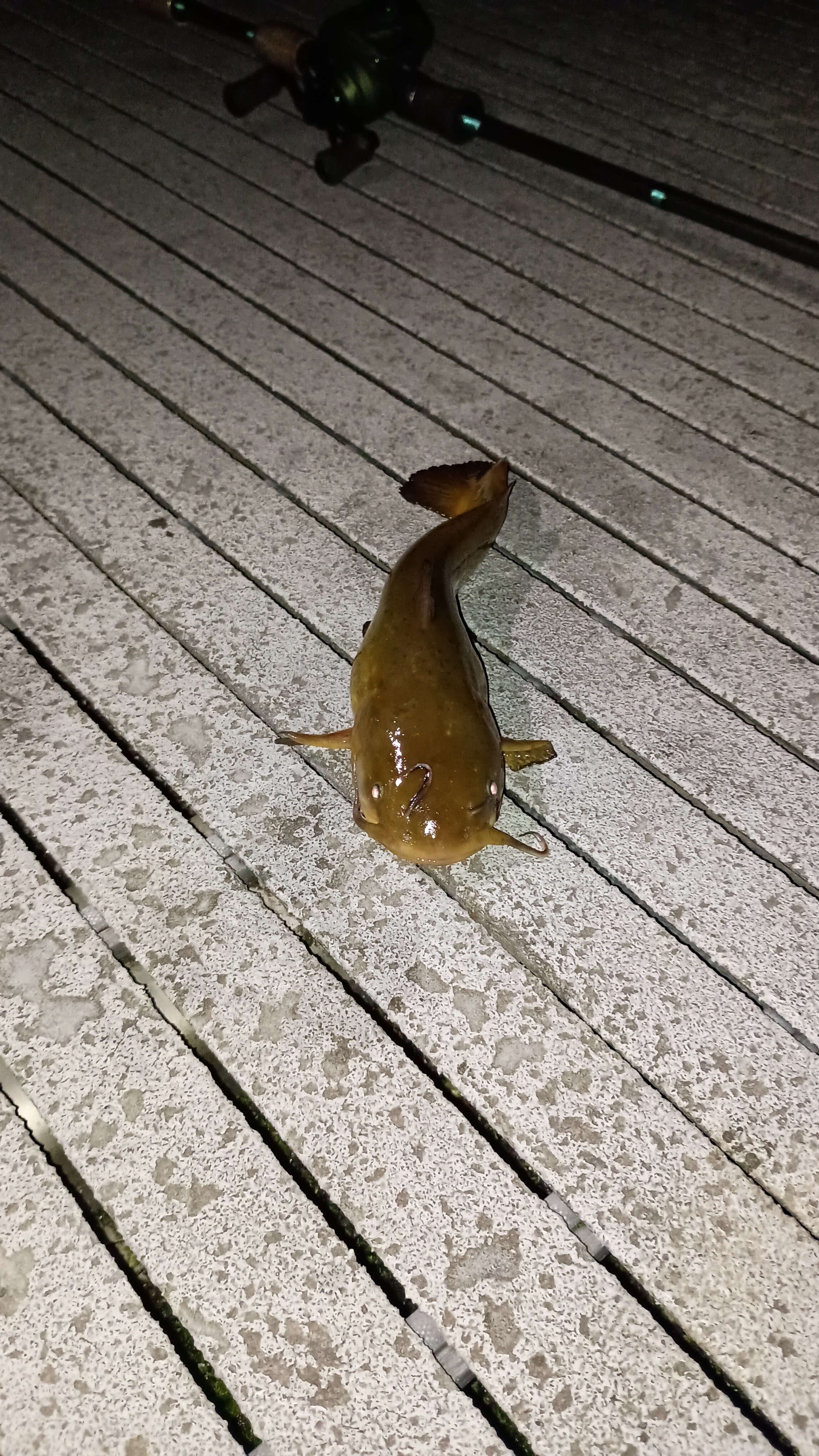 Fundraiser by Donald Thomas : Help Donald Get a Fishing Boat for ...