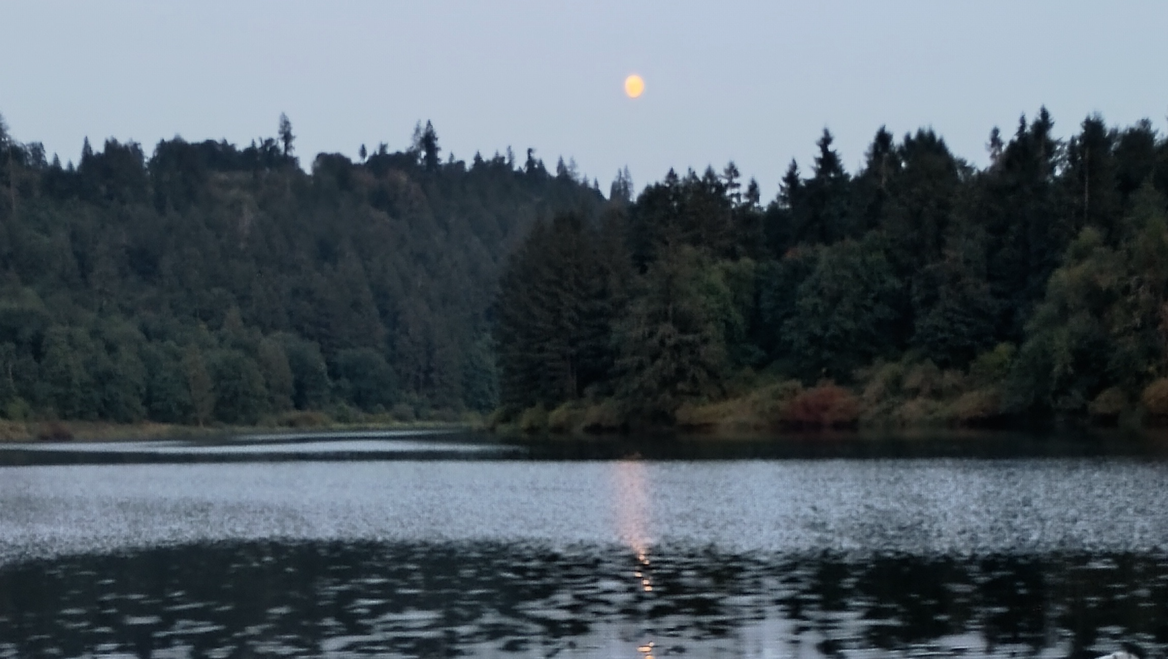 Fundraiser by Donald Thomas : Help Donald Get a Fishing Boat for ...