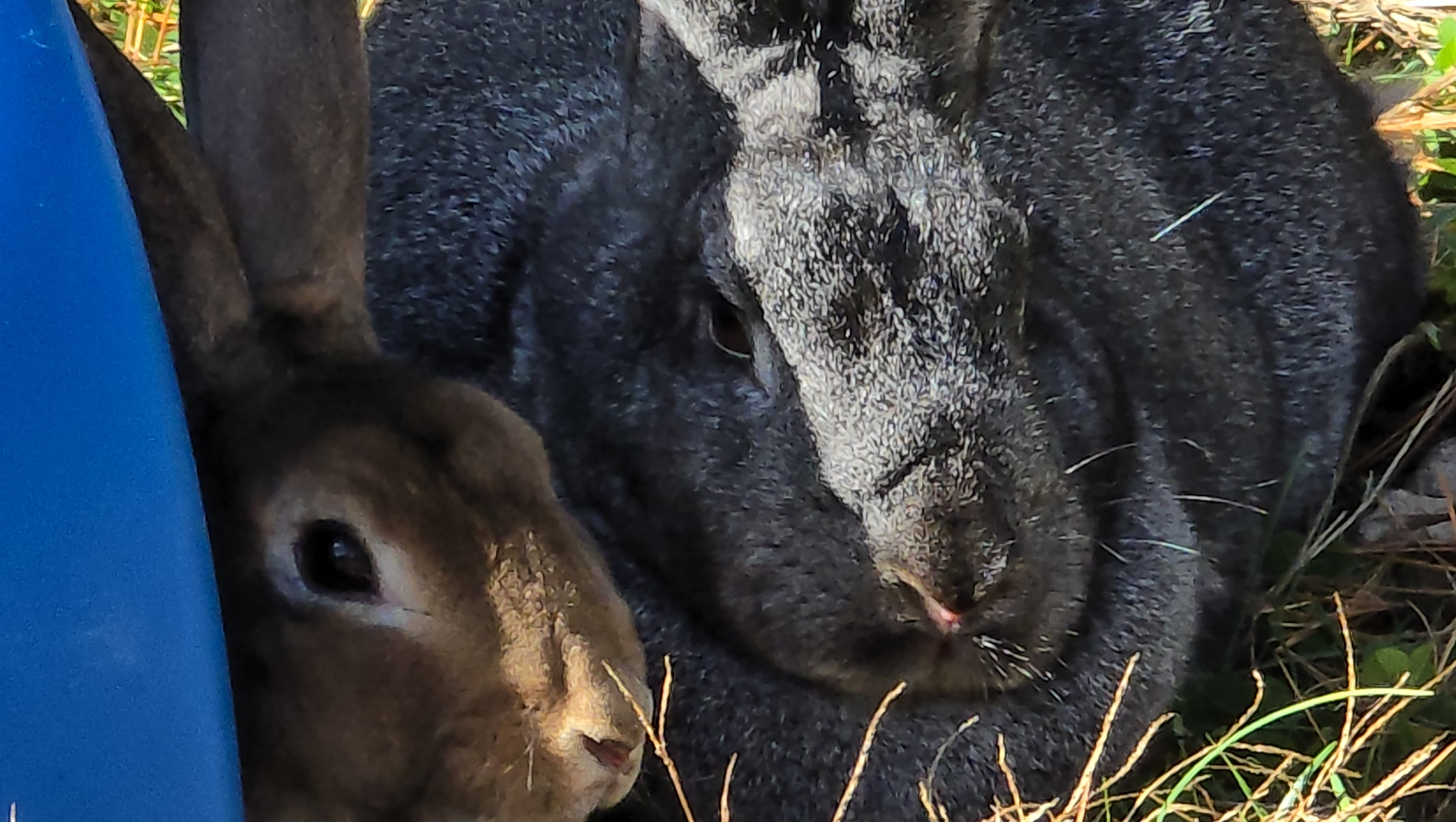 Fundraiser by Sanctuary Coalition Waldo County Maine : Support a Family ...