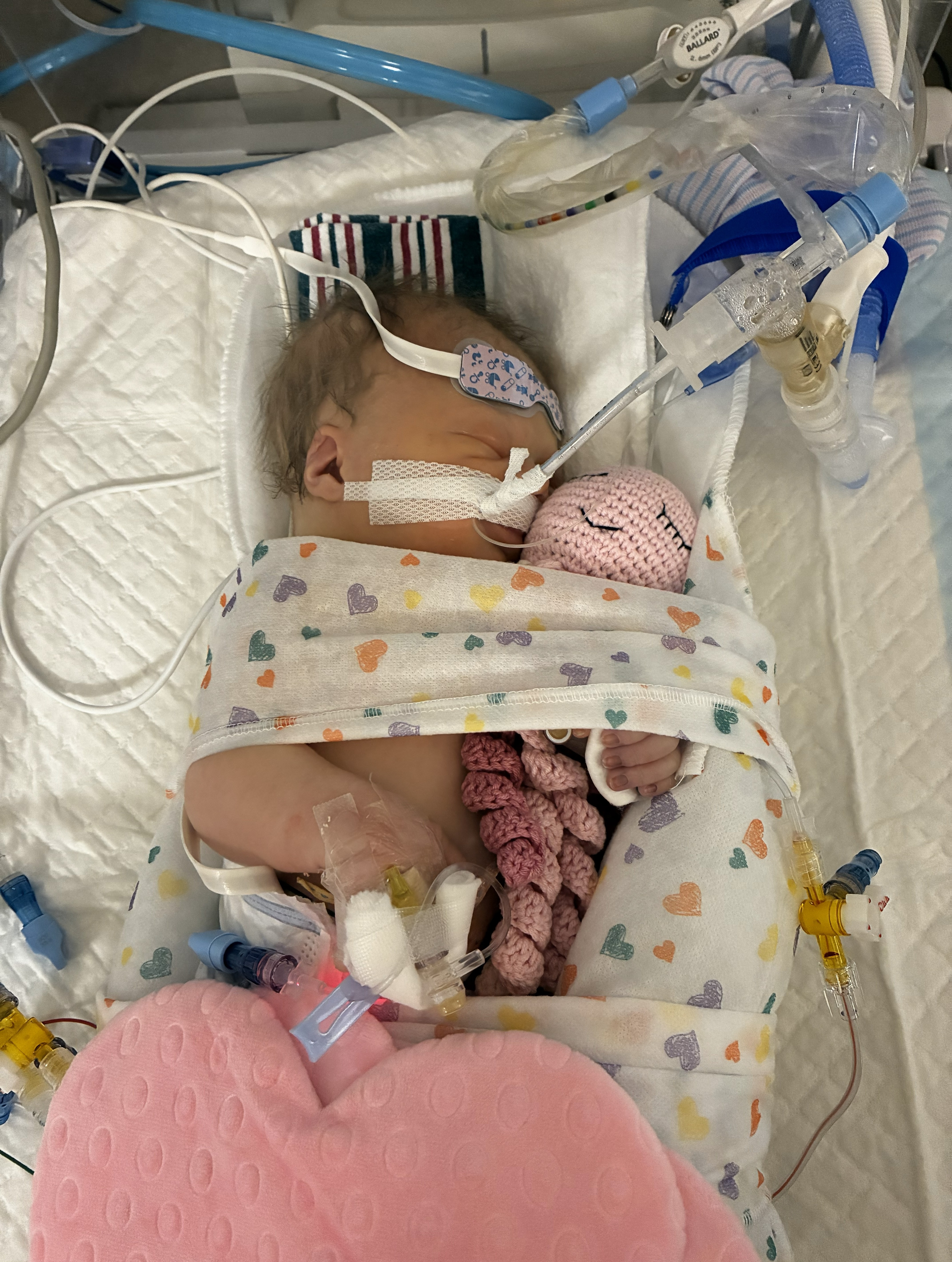 Fundraiser for Ryan Hippler by Mary Beth Moore : In Loving Memory of ...