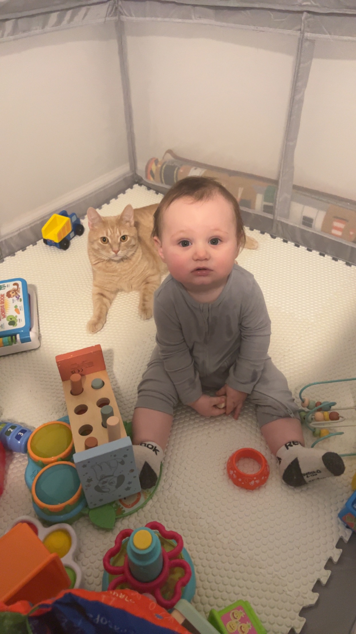 Fundraiser by Melanie Jones : Help Save Pood’s Life with Emergency Surgery