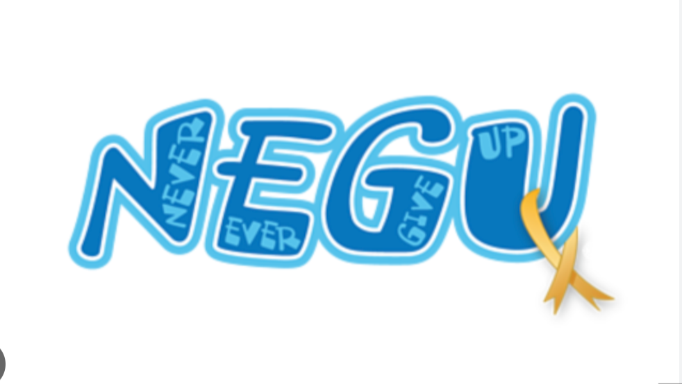 Fundraiser by Tatum Goethals : Support Jessie Rees Foundation to help ...
