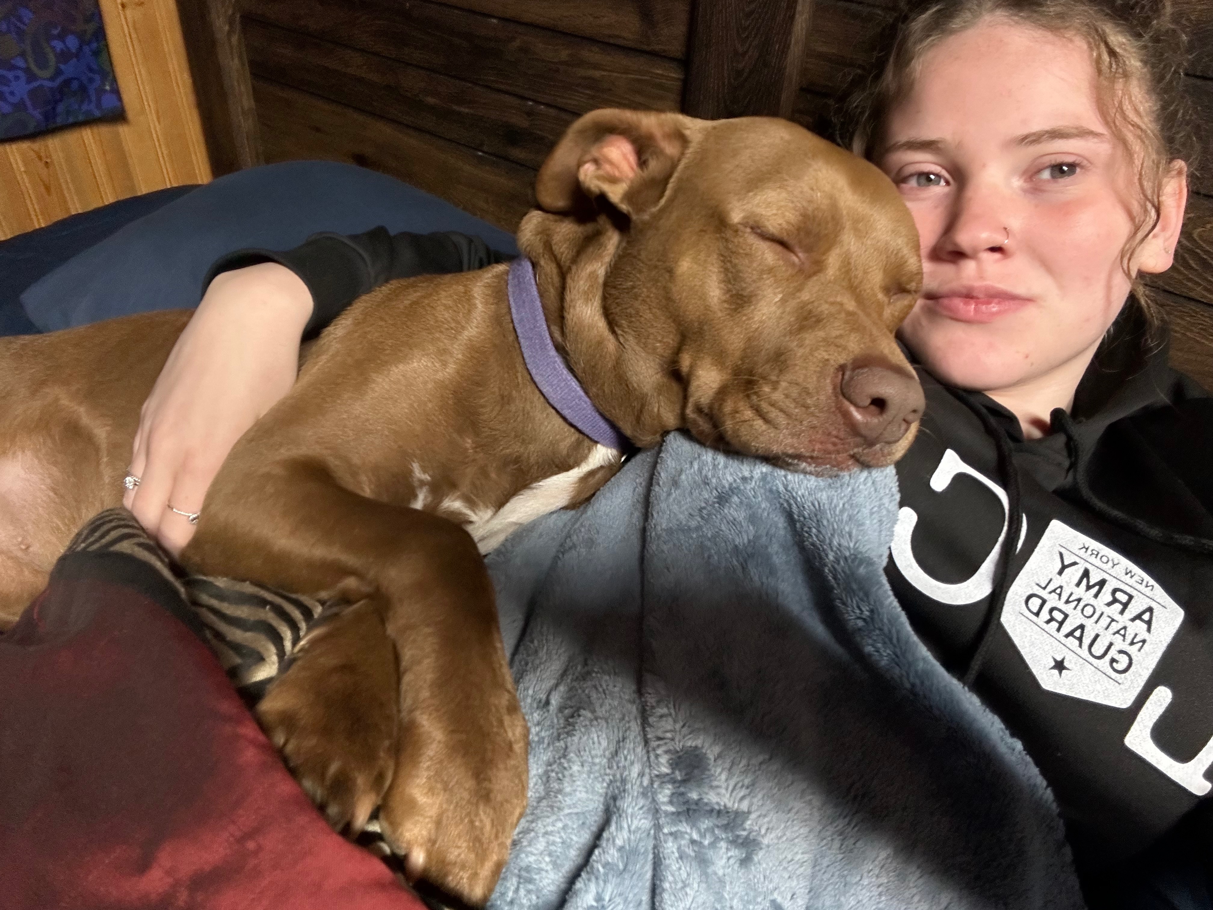 Fundraiser by Zandra Aliya : Support Nala’s Emergency Surgery and Recovery
