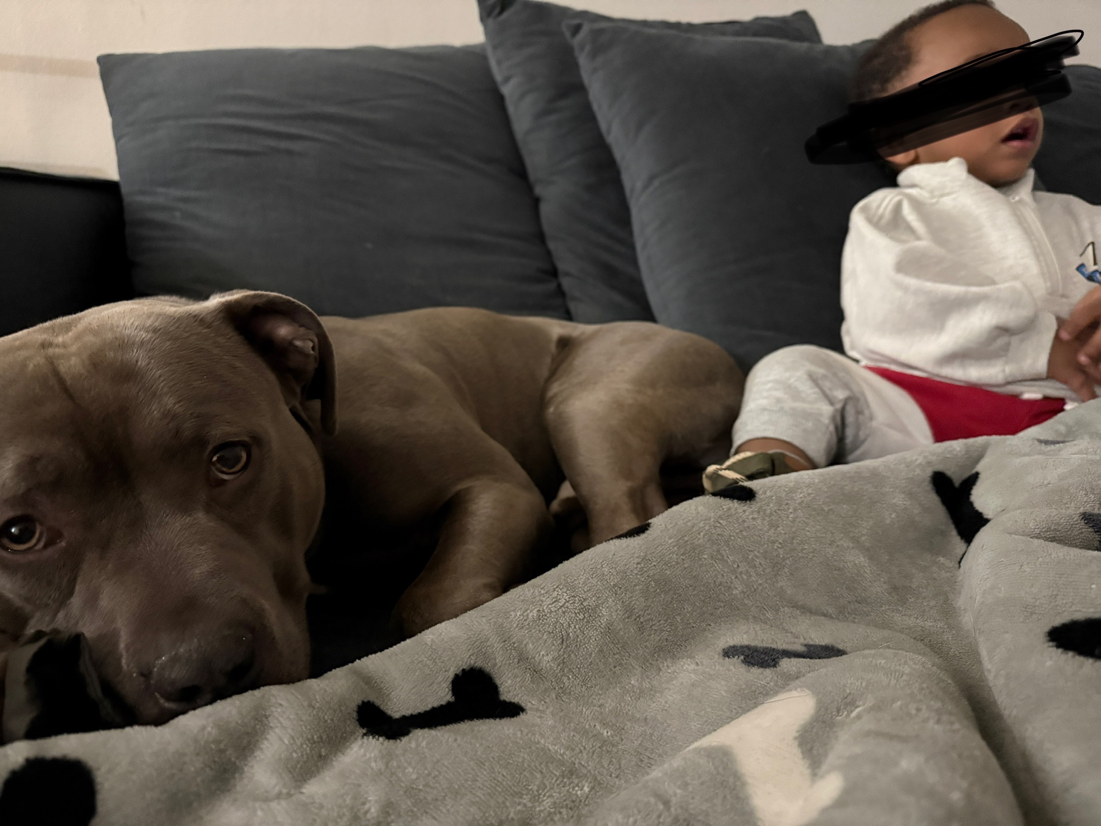 Fundraiser by Nini E : Warmth and Care for this "Blue" Strays Fresh Start