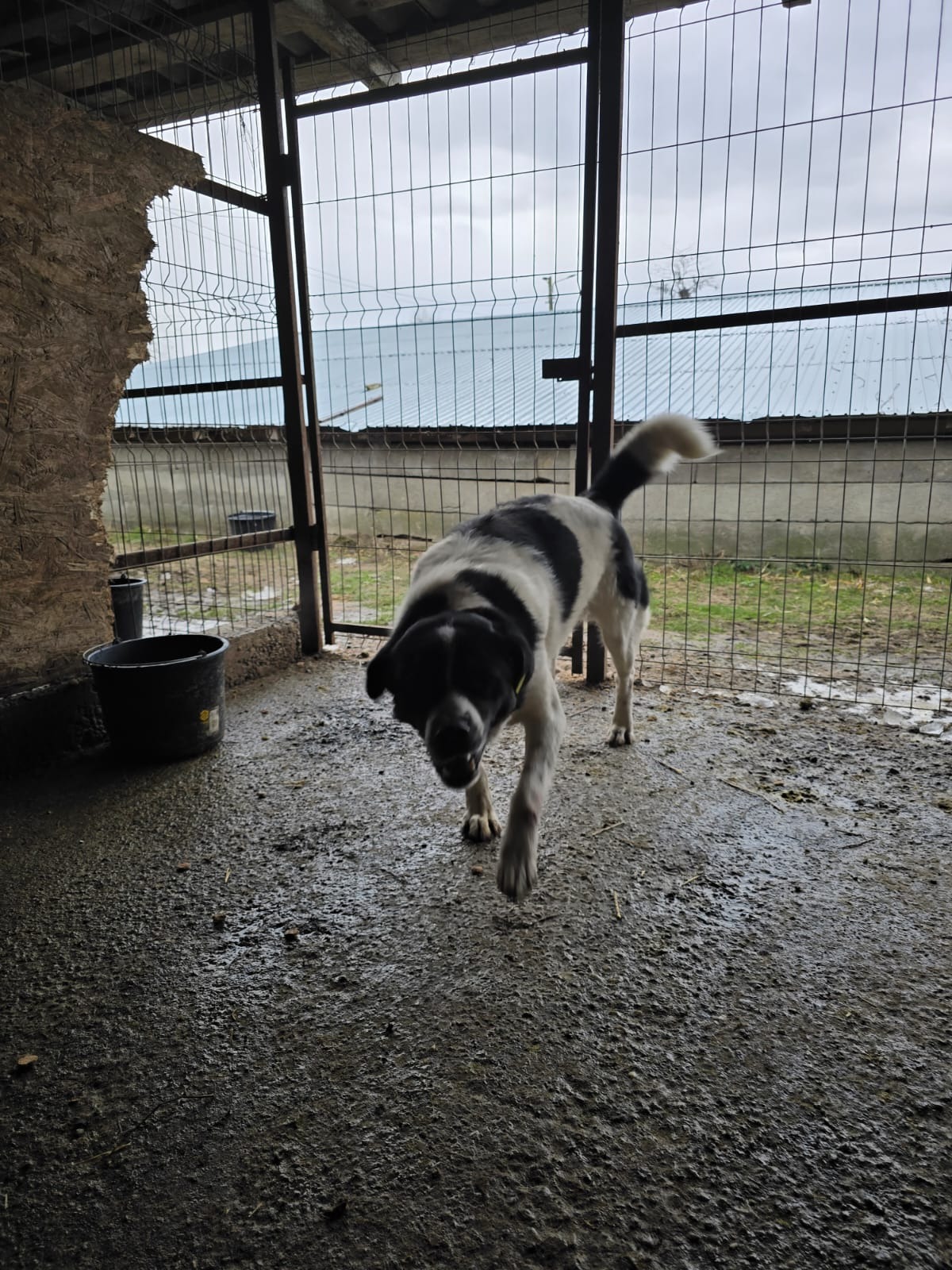 Fundraiser by Daniela Meyer : Heaven’s Gate Blessings Winterhilfe für ...