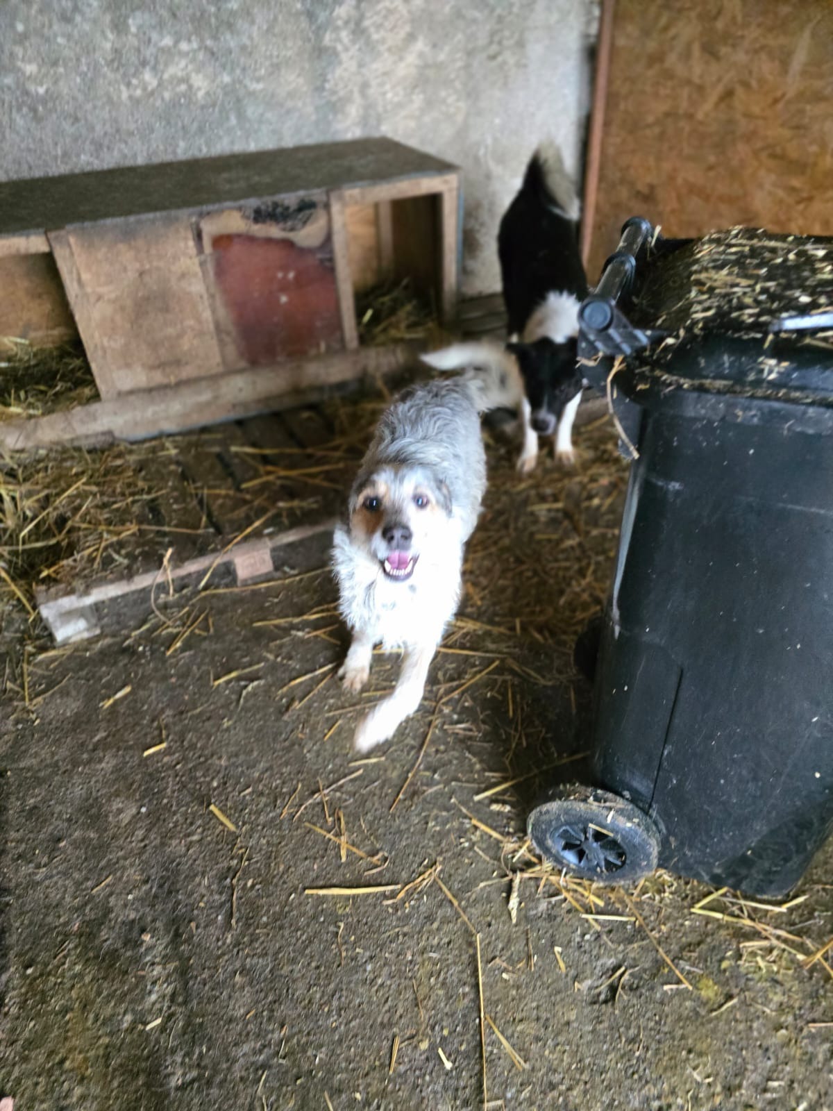 Fundraiser by Daniela Meyer : Heaven’s Gate Blessings Winterhilfe für ...