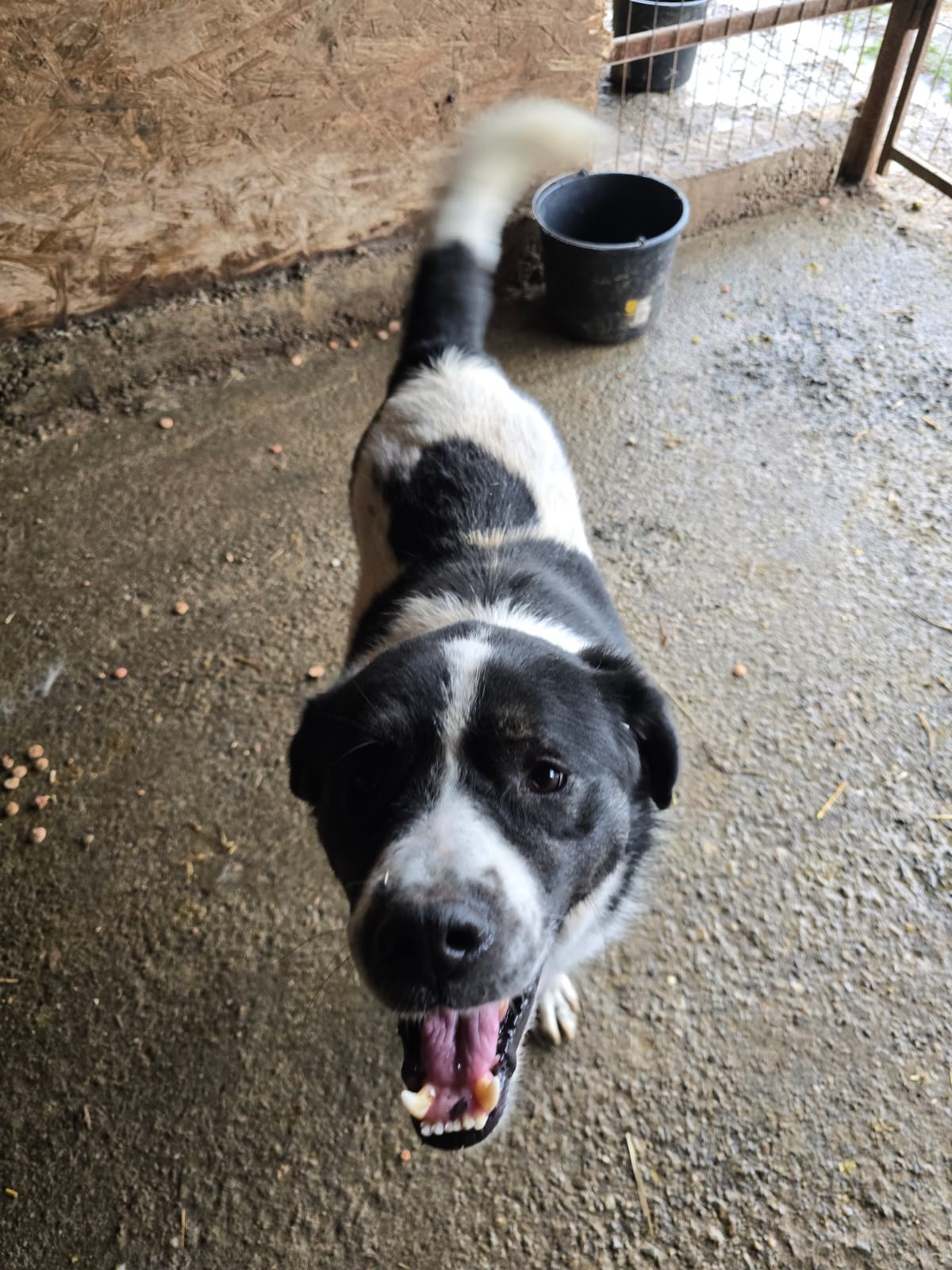 Fundraiser by Daniela Meyer : Heaven’s Gate Blessings Winterhilfe für ...