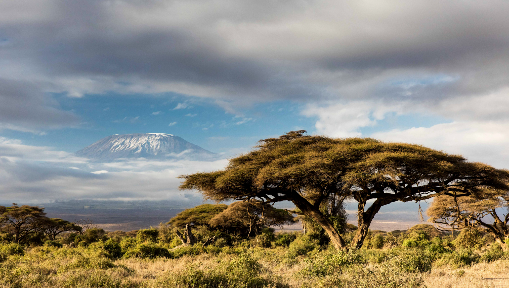 Fundraiser by Craig larkin : Ethan Larkin Tanzania World Challenge Trip ...
