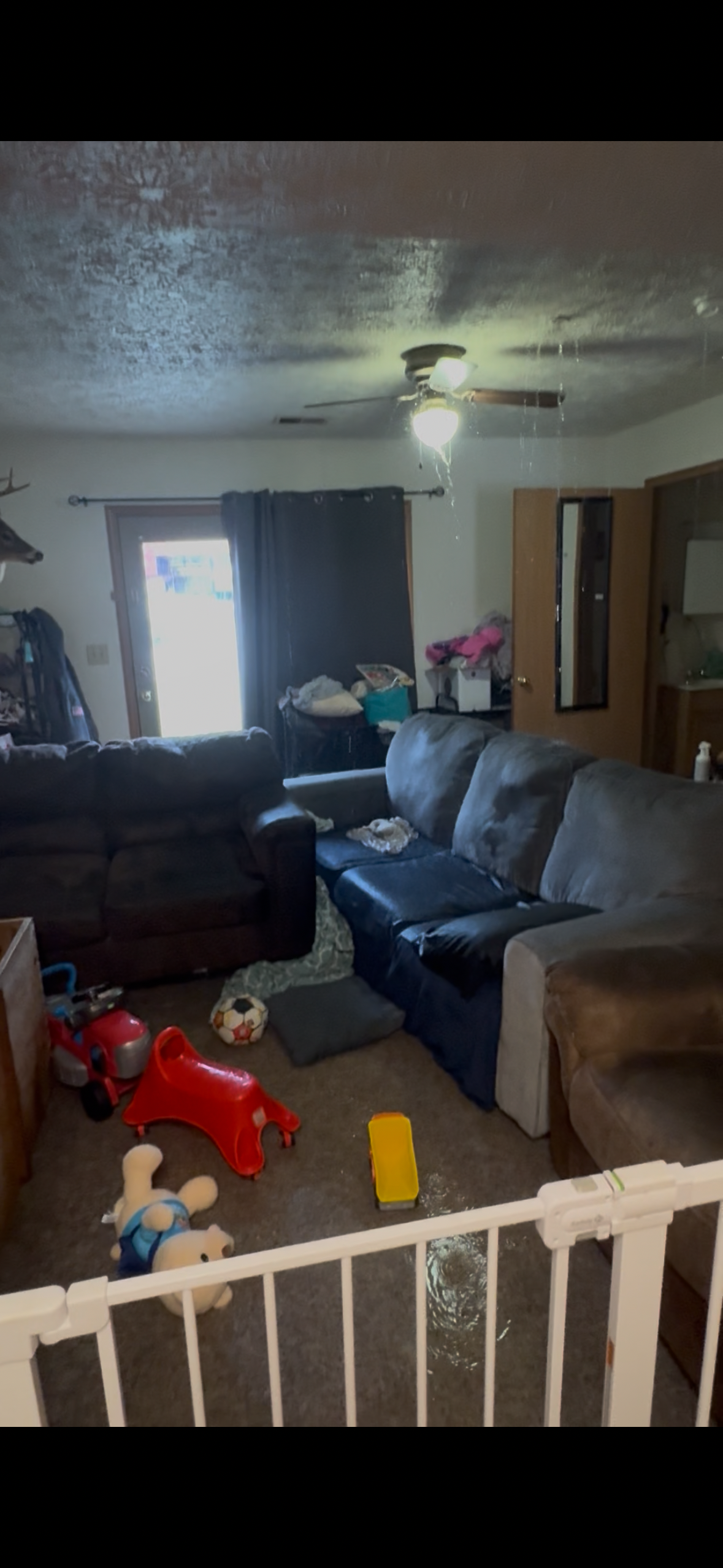Fundraiser by Lara Mercer : Help Lara, Devon, & Lincoln after apartment ...