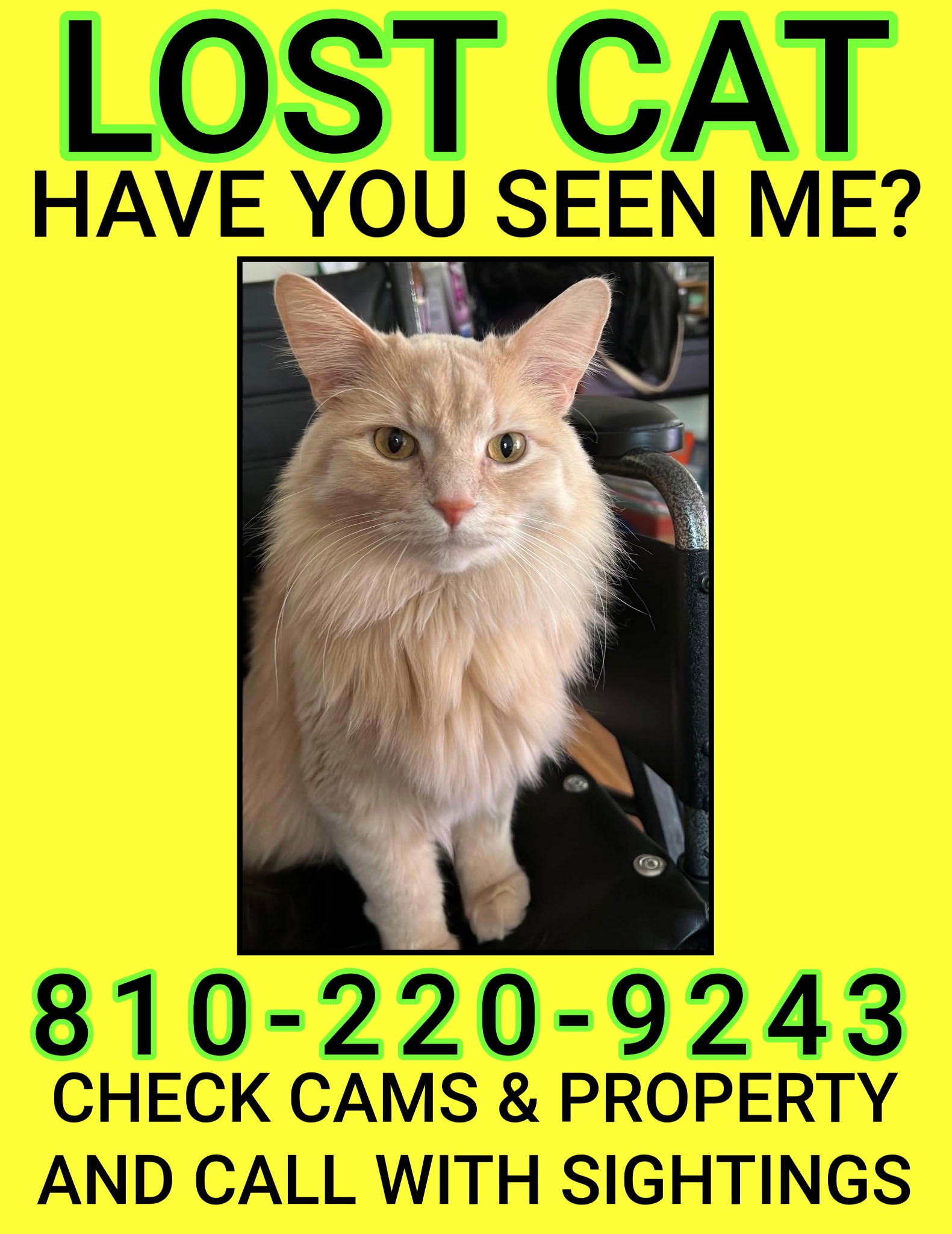 Fundraiser by Elizabeth Trendle : Reunited with Snook: Help Him Heal