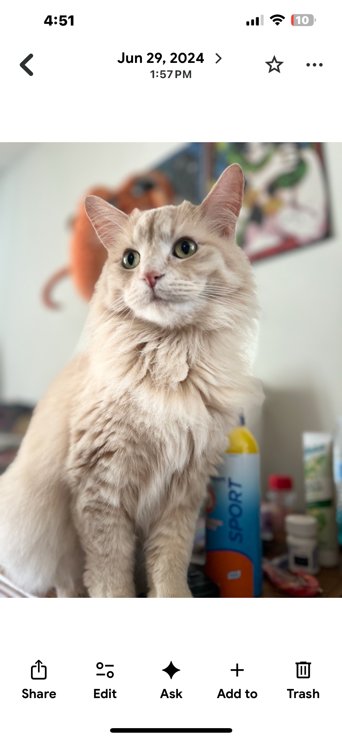 Fundraiser by Elizabeth Trendle : Reunited with Snook: Help Him Heal