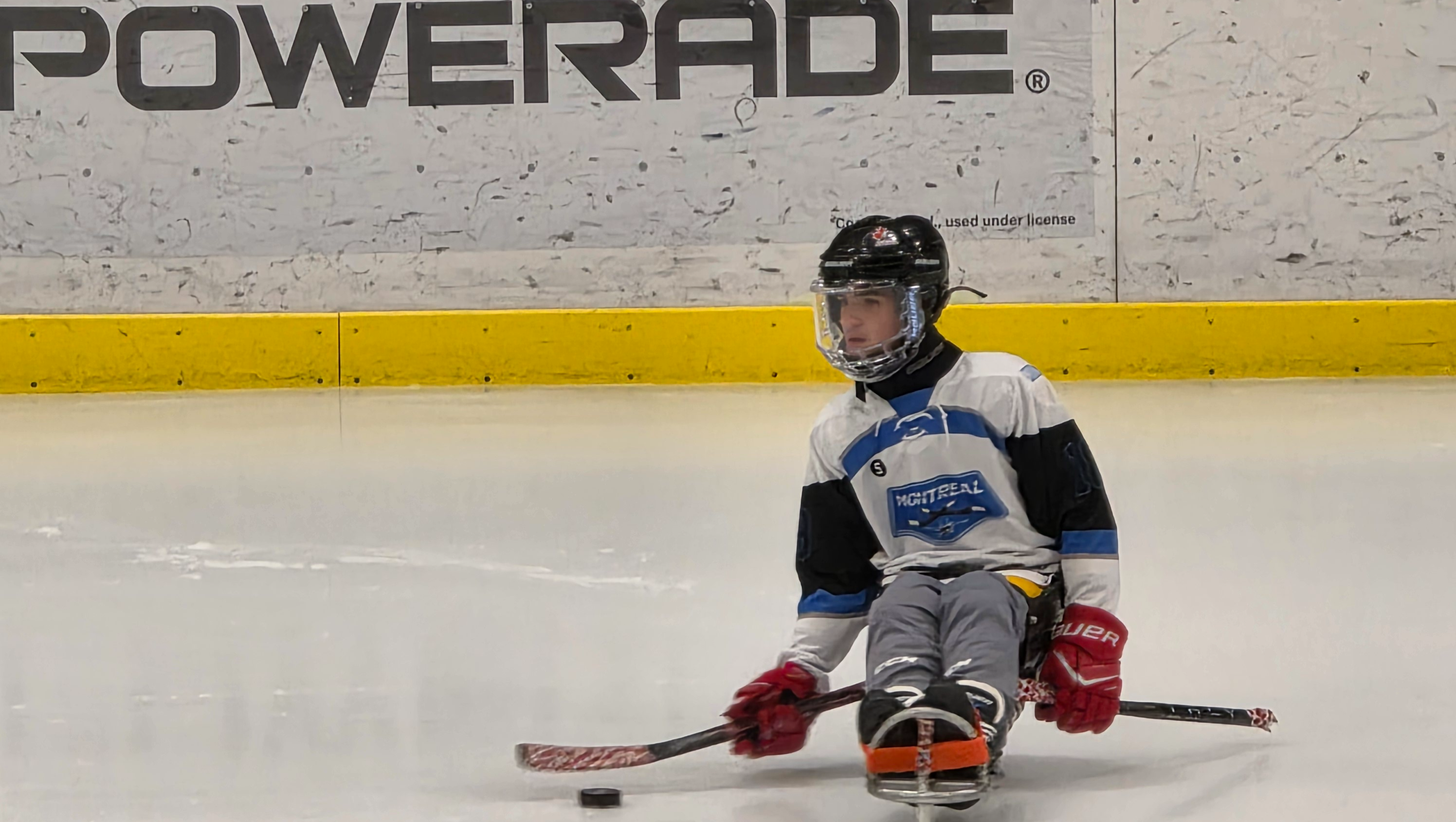 Fundraiser by Audrey Hamel : Une luge pour réaliser le rêve de mon ...