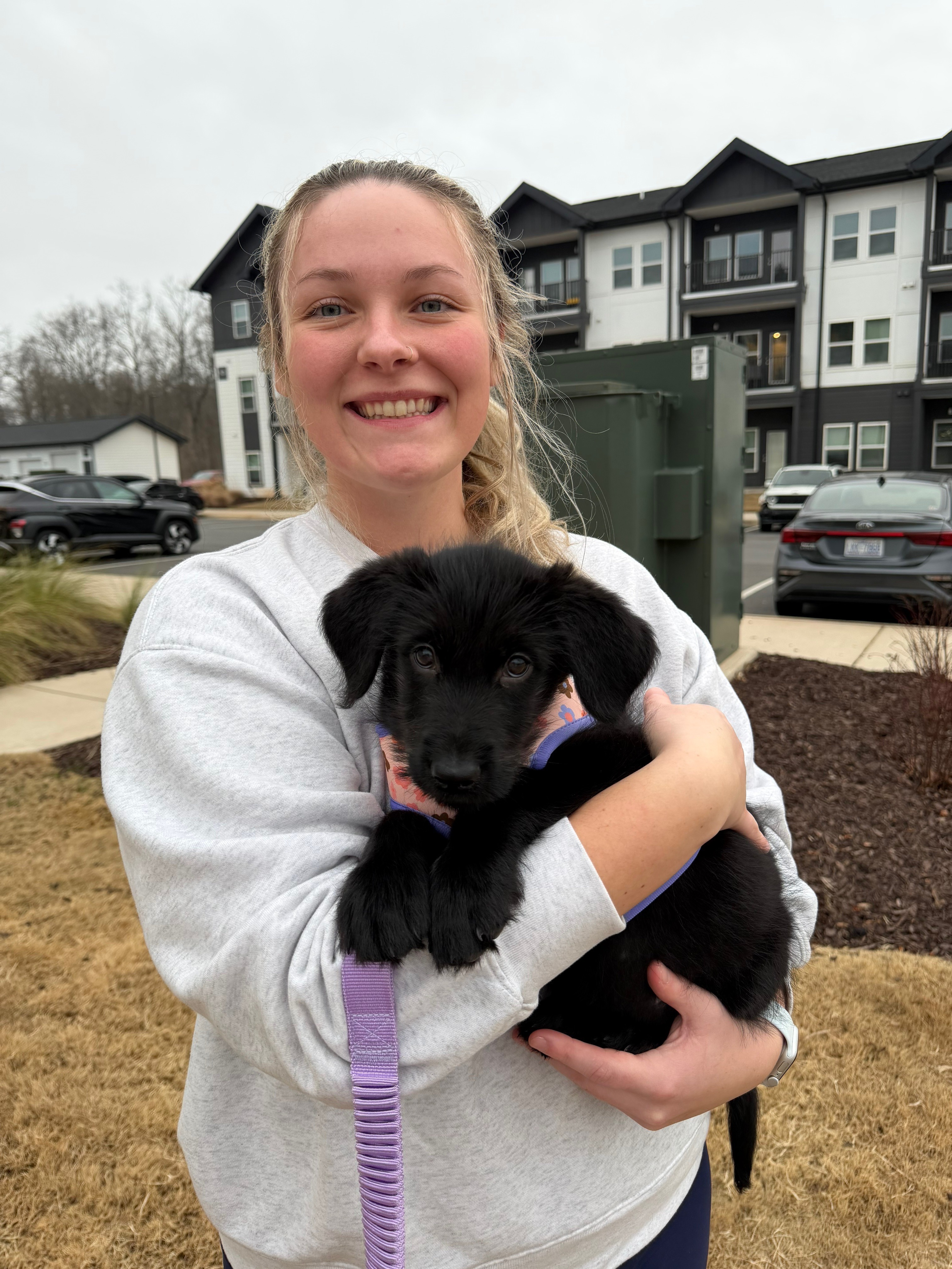 Fundraiser by Jaelynne Harriott : Help Milli Recover from Emergency Surgery