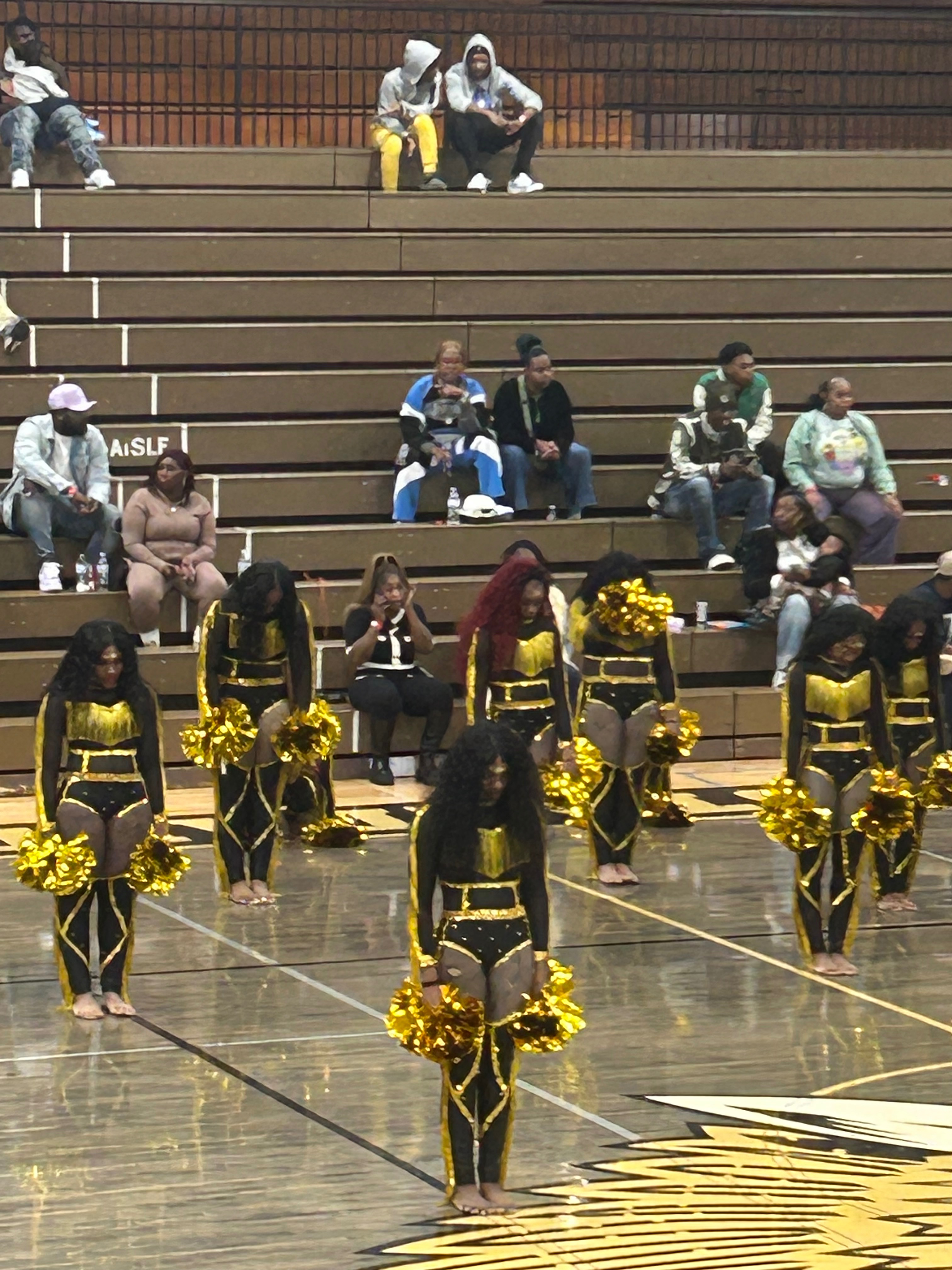 Fundraiser by tikesha coleman : Support Natalia’s Dance Journey