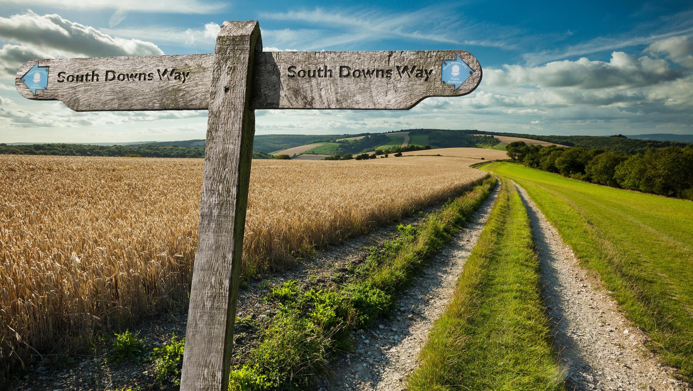 Fundraiser by Mark Rayner : South Downs Way Challenge, please donate to ...