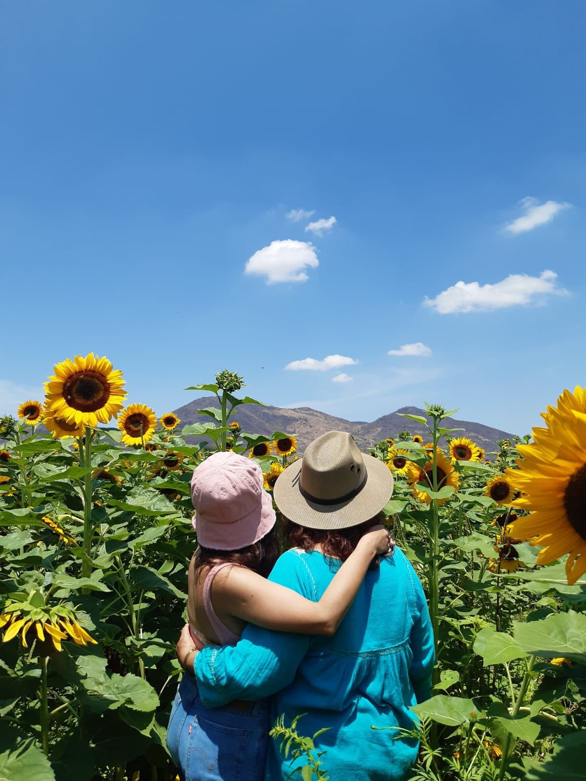 Fundraiser by Estefania I : Unidos contra el cáncer y cirugía urgente ...