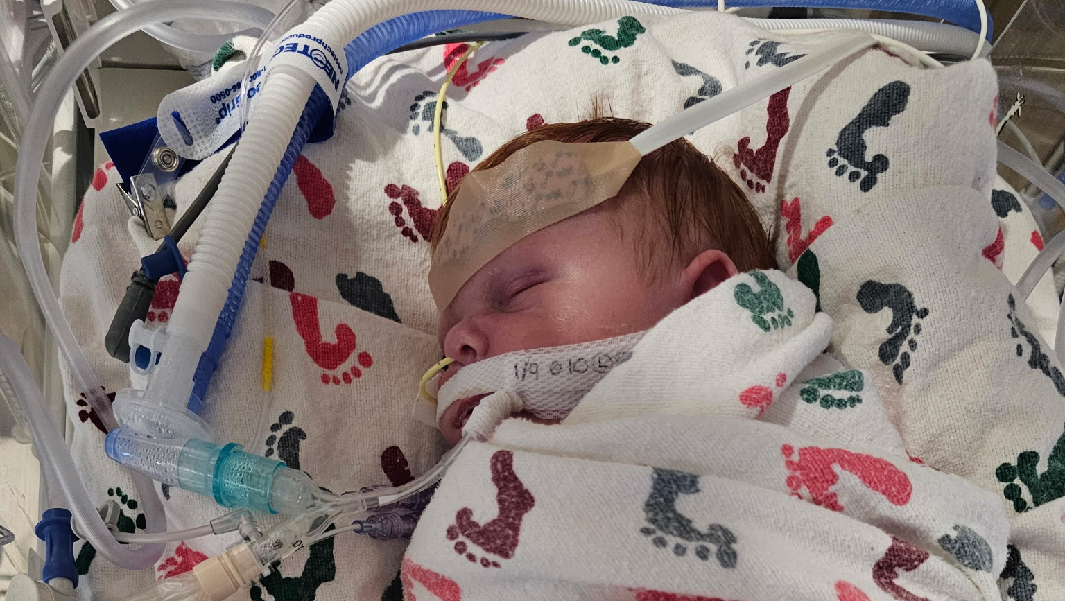 Fundraiser for Danielle Dill by Meaghan Faulkner : Support for Baby Roy ...