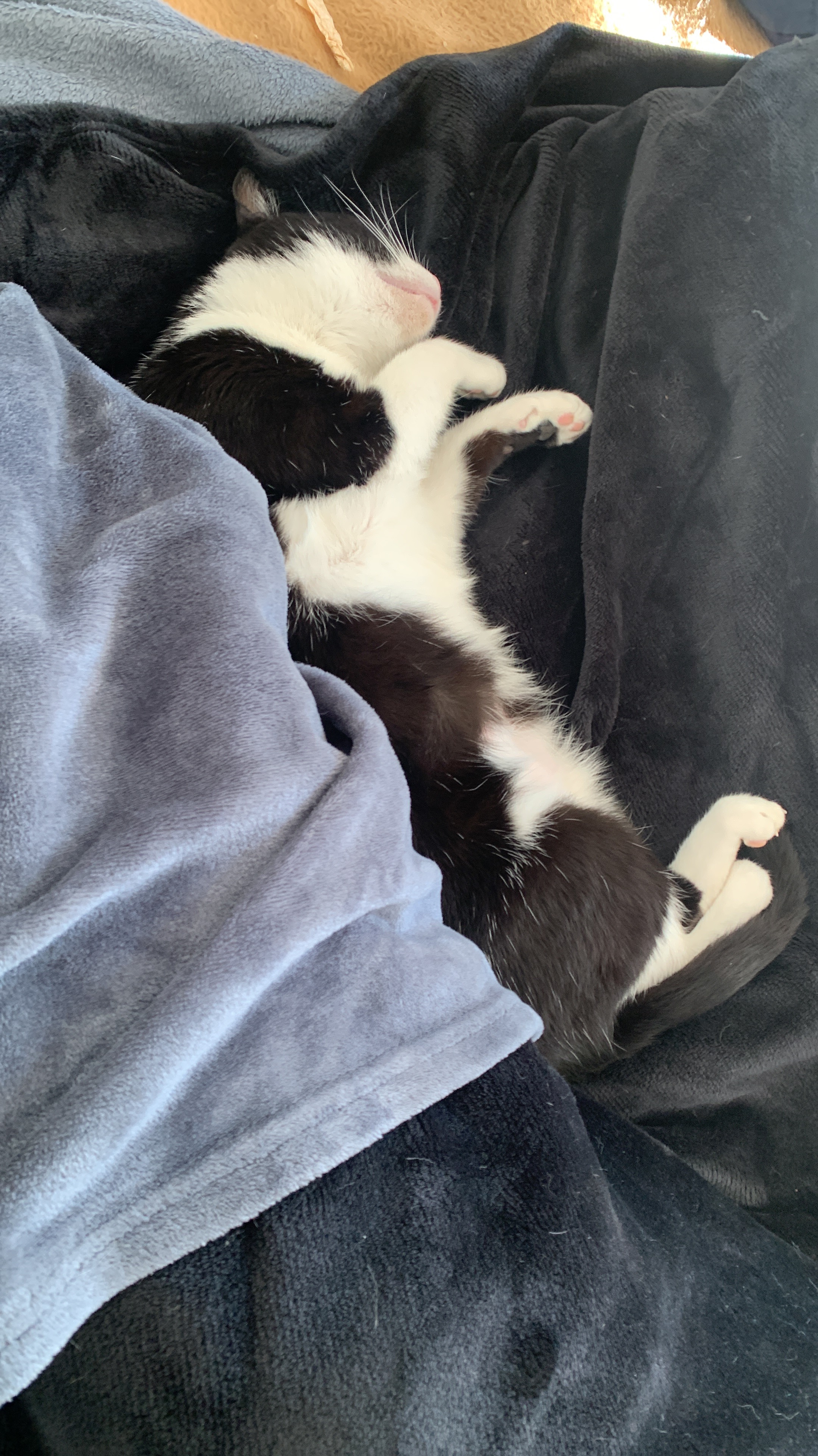 Fundraiser by Natalia Candelo : Ayudemos a Ramón